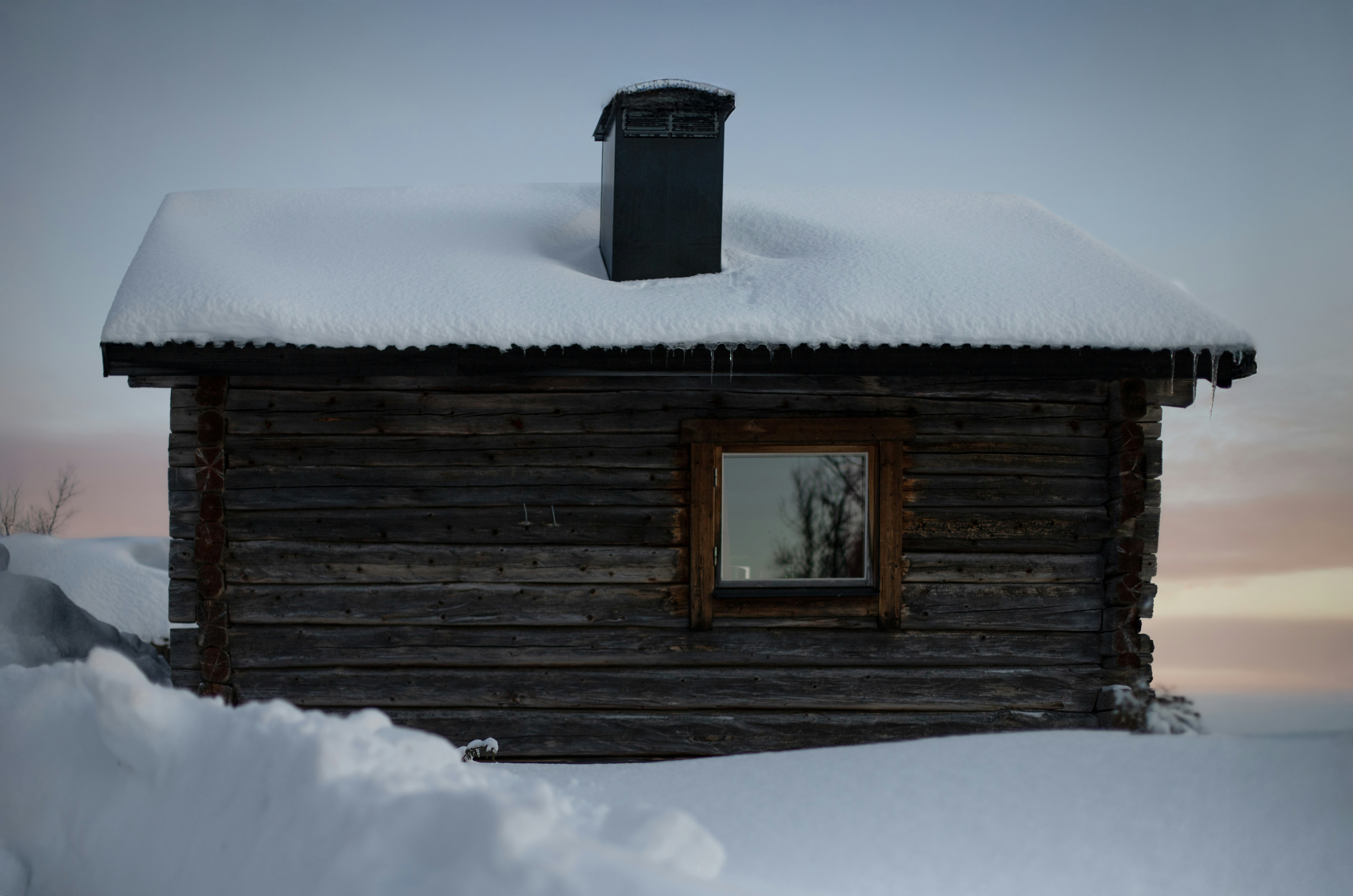 Photo by Lena Polishko with Canon EOS 6D Mark II