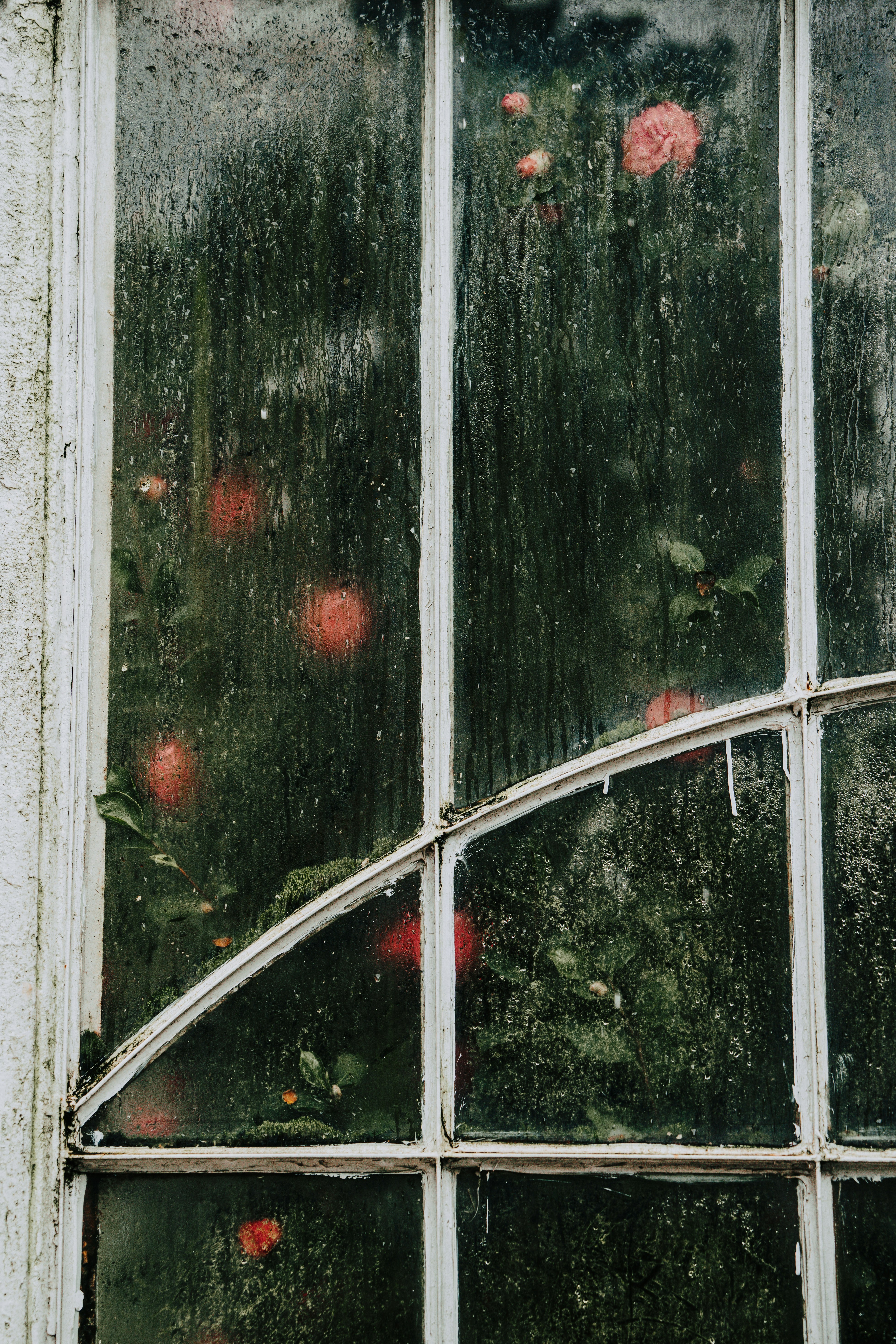 Photo by Ahmed with Sony Alpha 7 IV