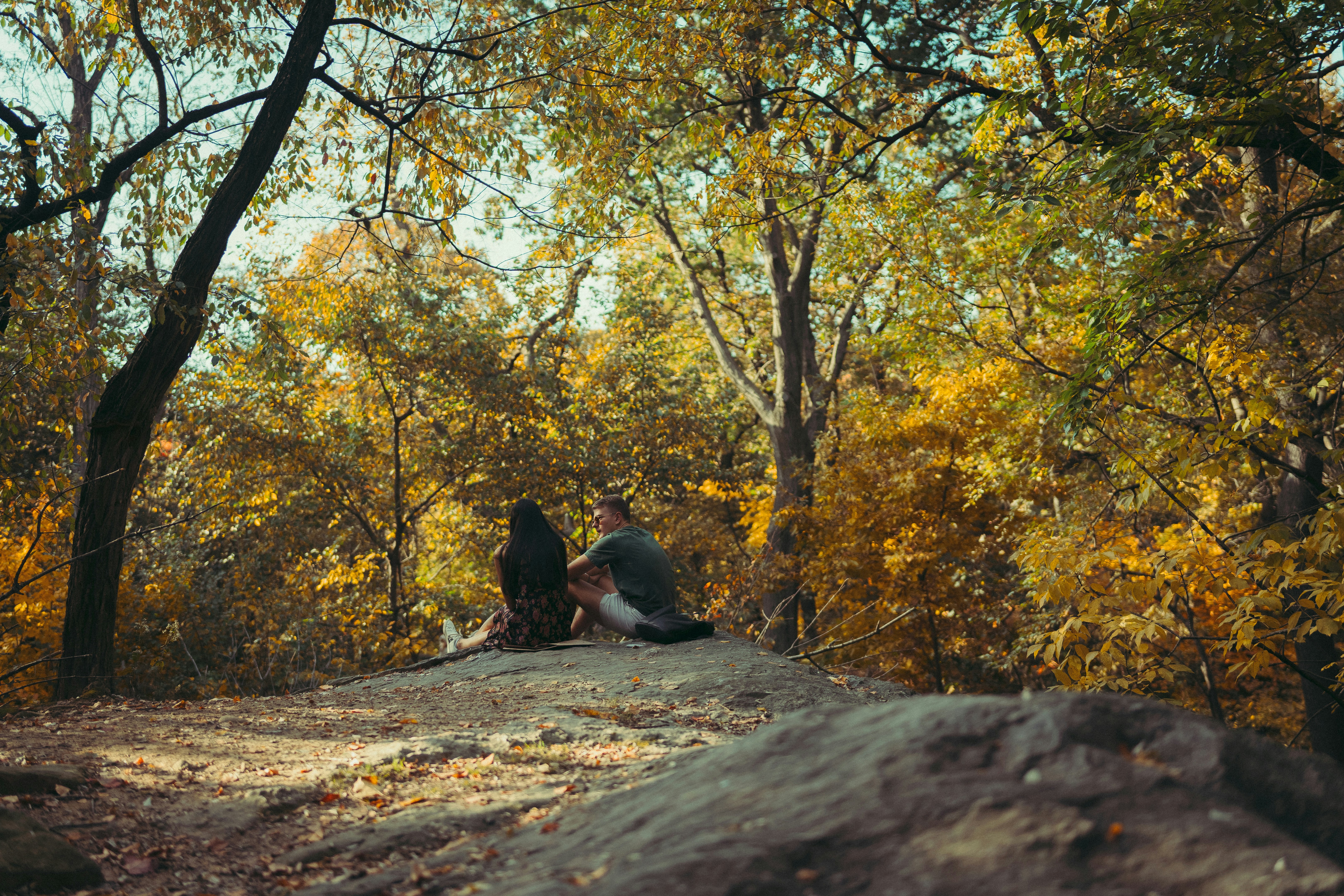 Couple seated on a rock in a forest surrounded by vibrant autumn leaves.
