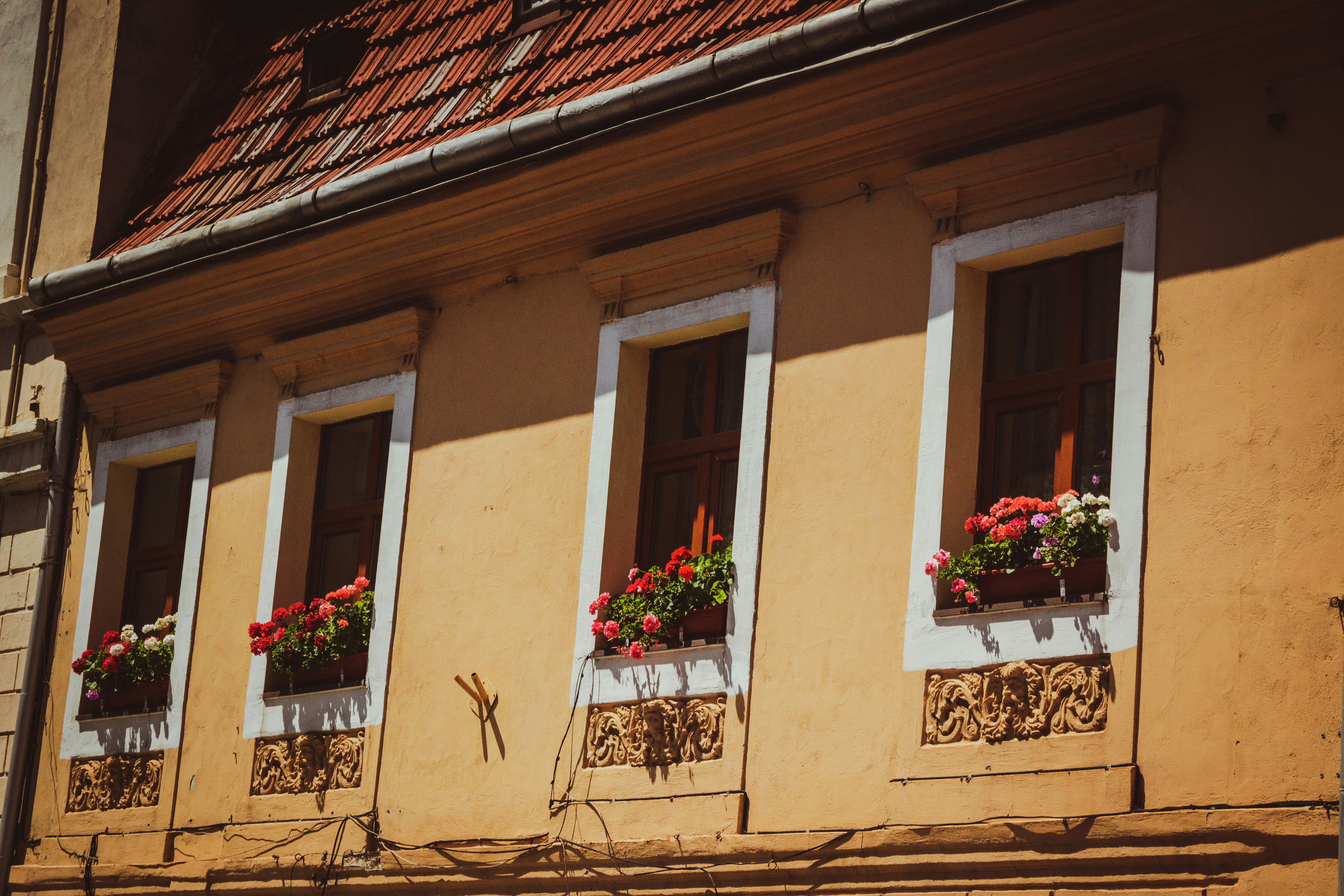 Windows adorned with colorful flower boxes on a sunlit building facade.
