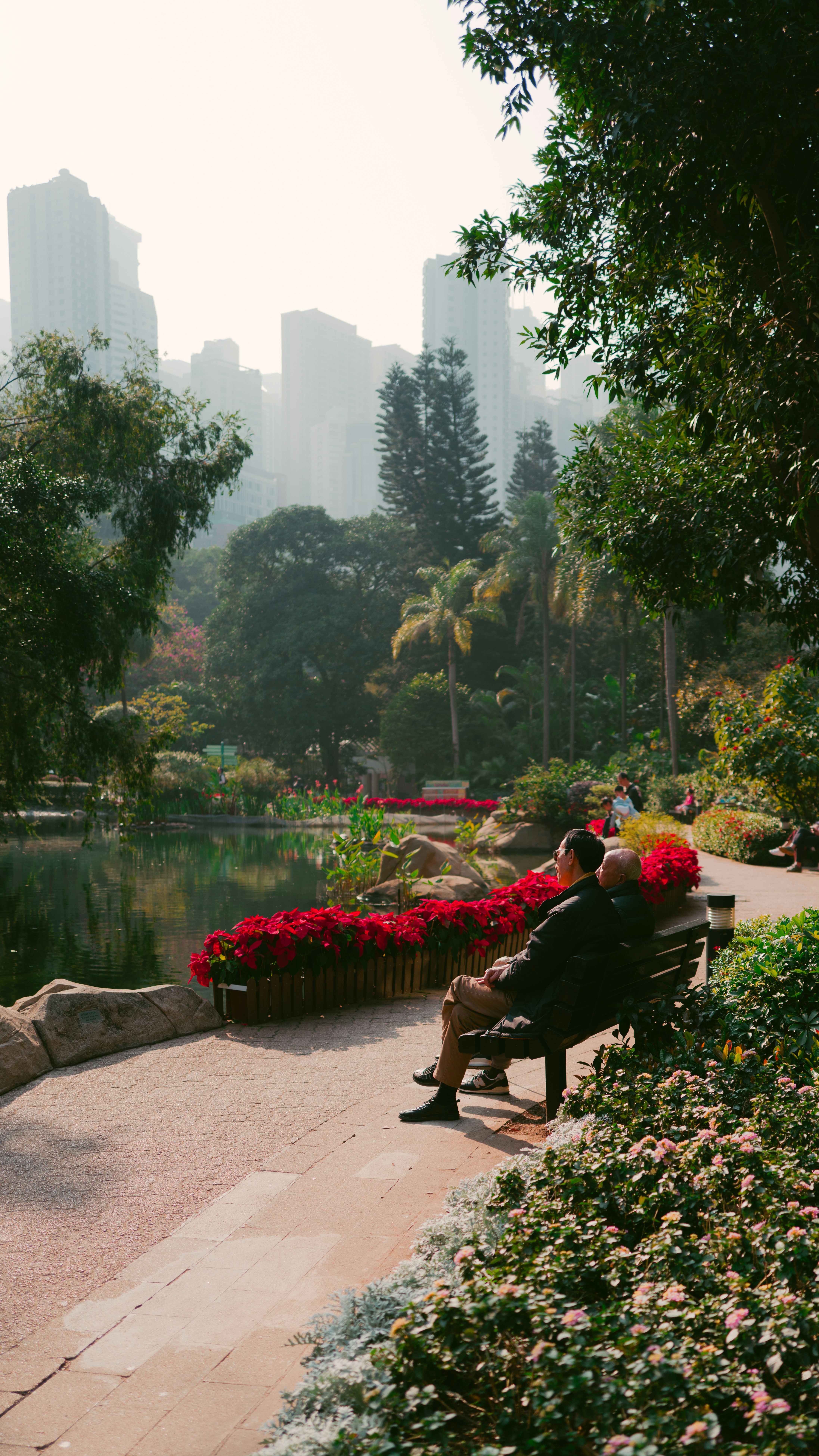 Benchside Stillness: Morning Haze Softens a Park Amid Tall City Towers