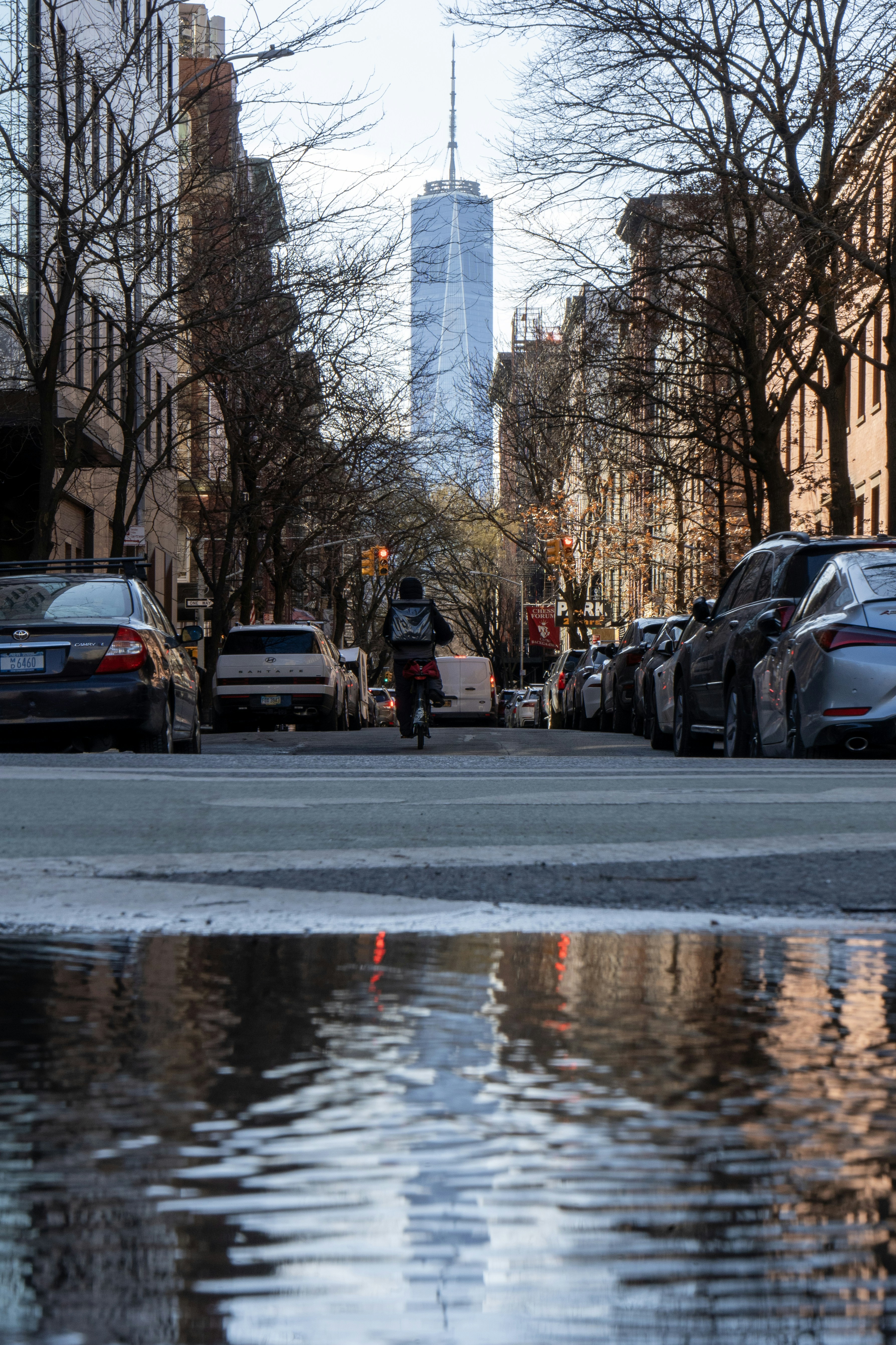 Street in Blooming Winter: A Cyclist Heads Toward the Towering Skyline