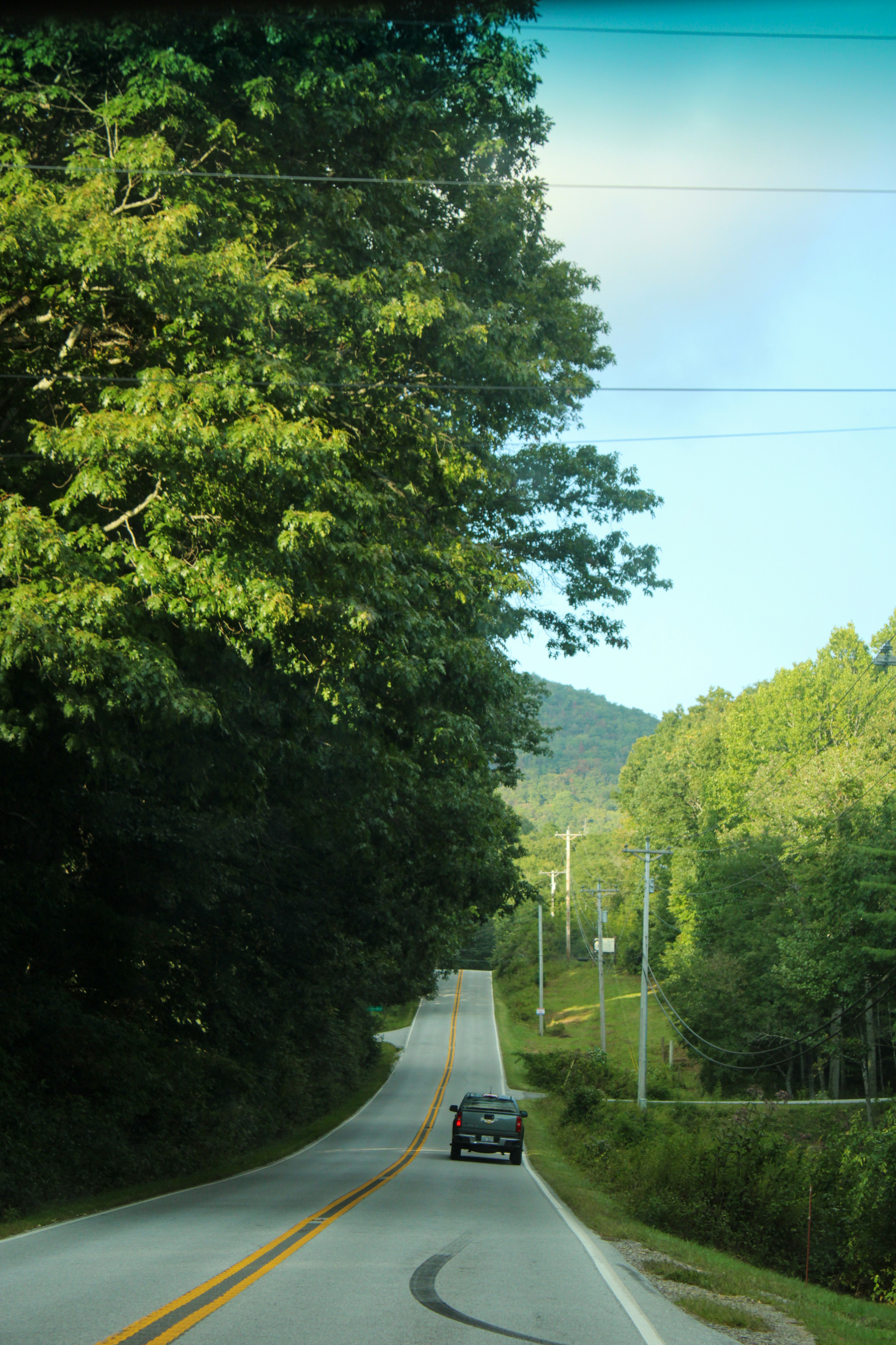A car driving down a road surrounded by trees photo – Free Car Image on ...