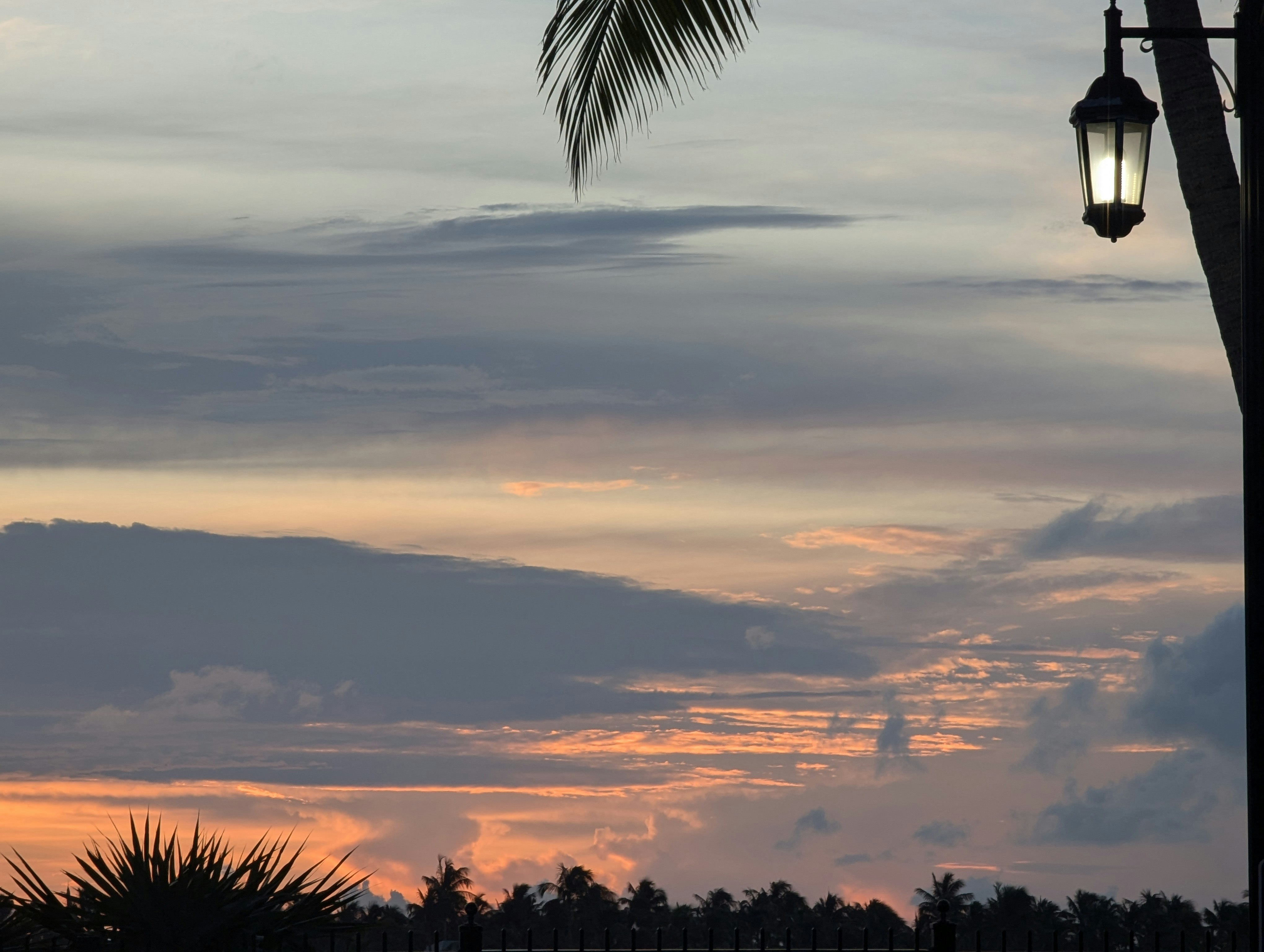 Palm frond and street lamp silhouetted against a colorful sunset sky.