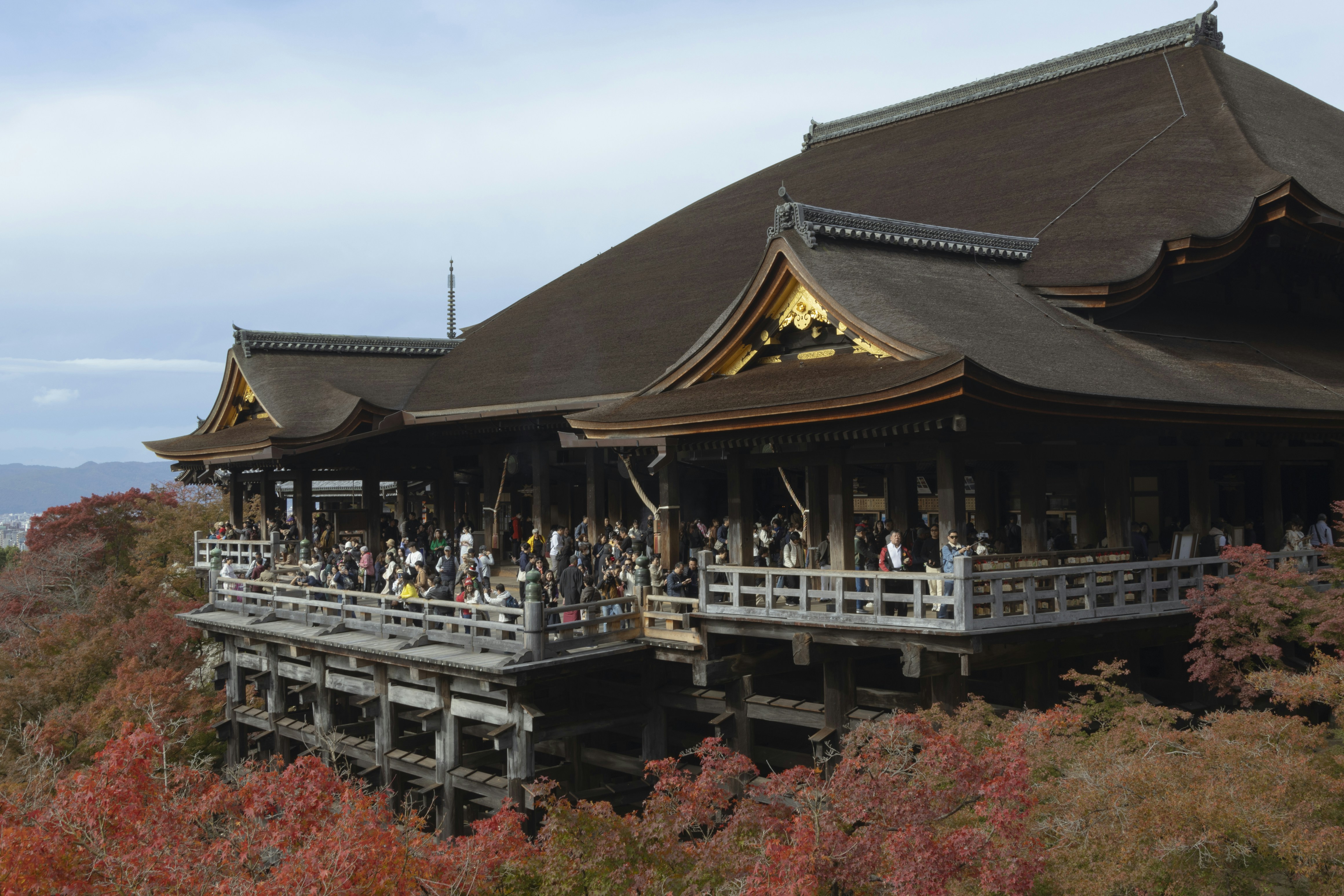Traditional Japanese temple with a crowd on the wooden terrace, surrounded by vibrant autumn foliage.