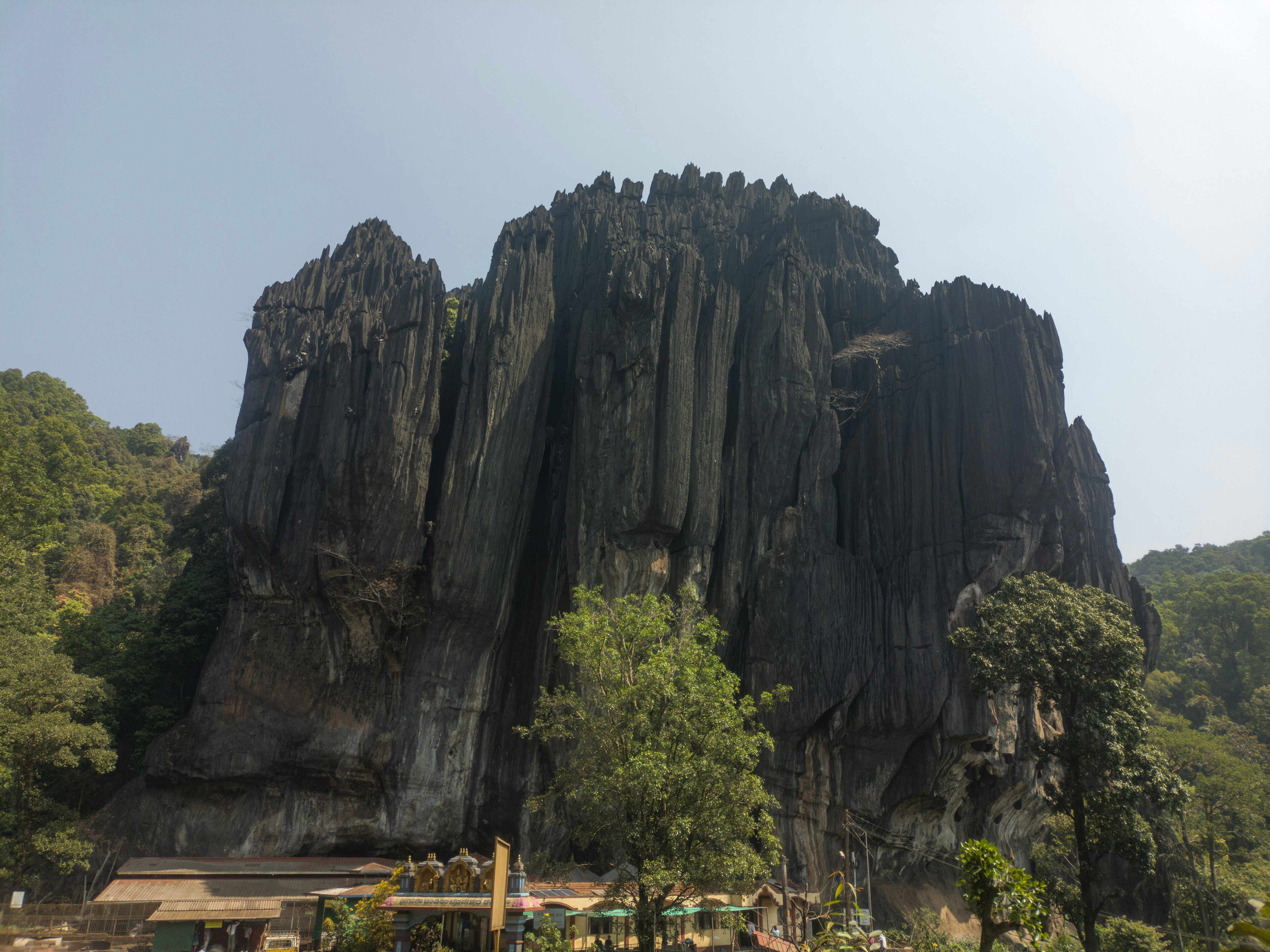 Majestic Pillars of Nature's Fortress