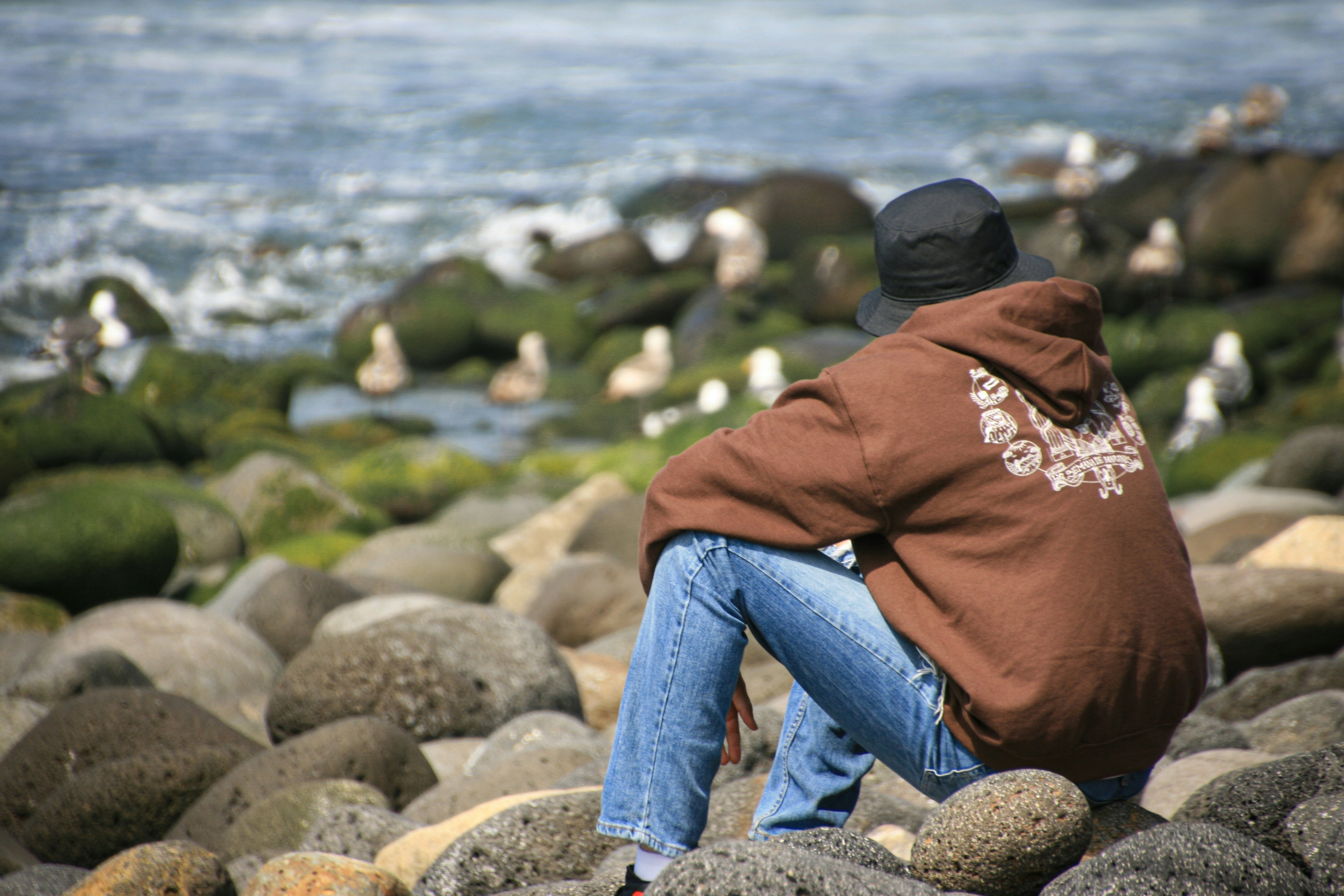 Person in a brown hoodie sitting on rocky shore gazing at the ocean with scattered birds in the background.