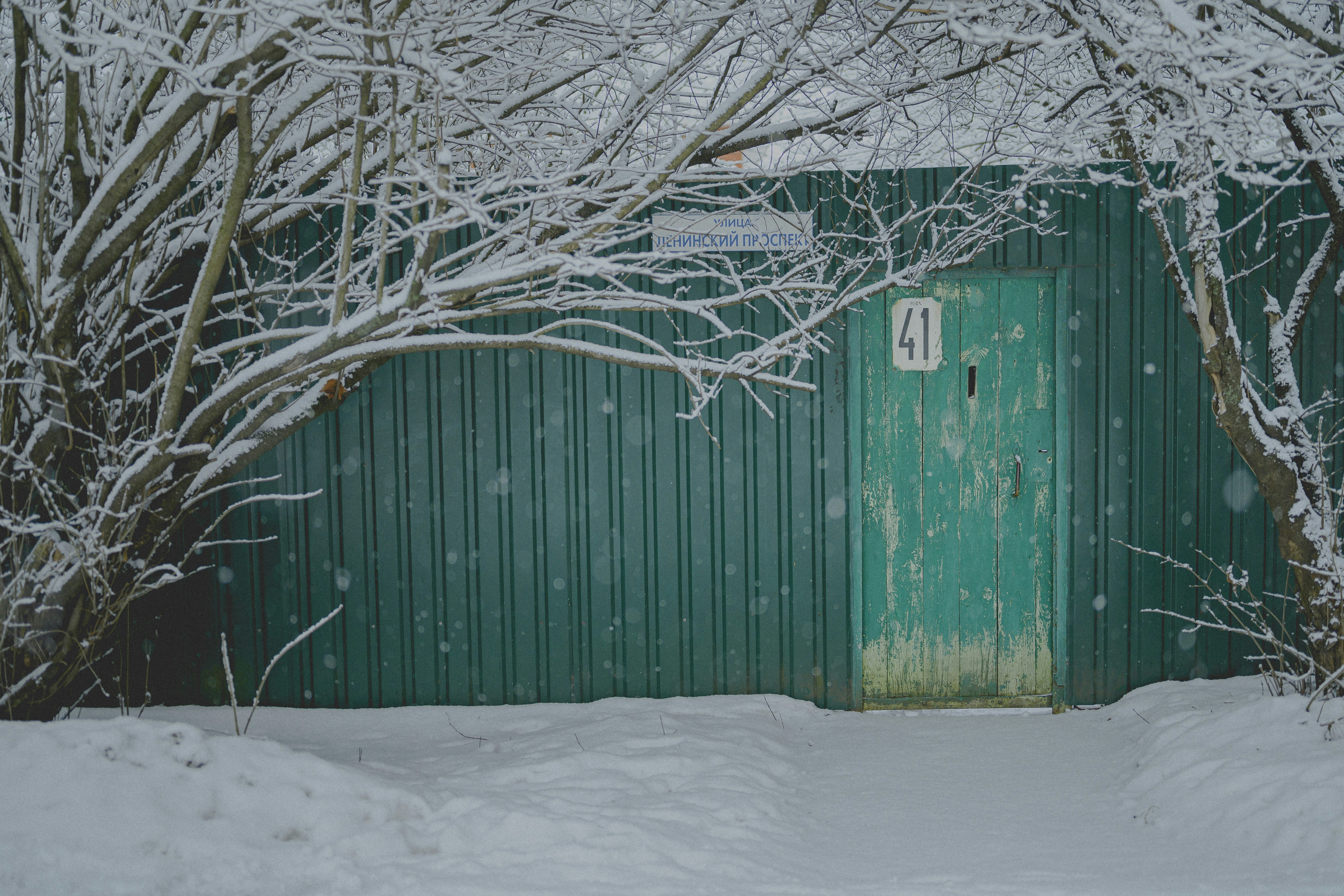 Winter's Embrace on a Teal Gate