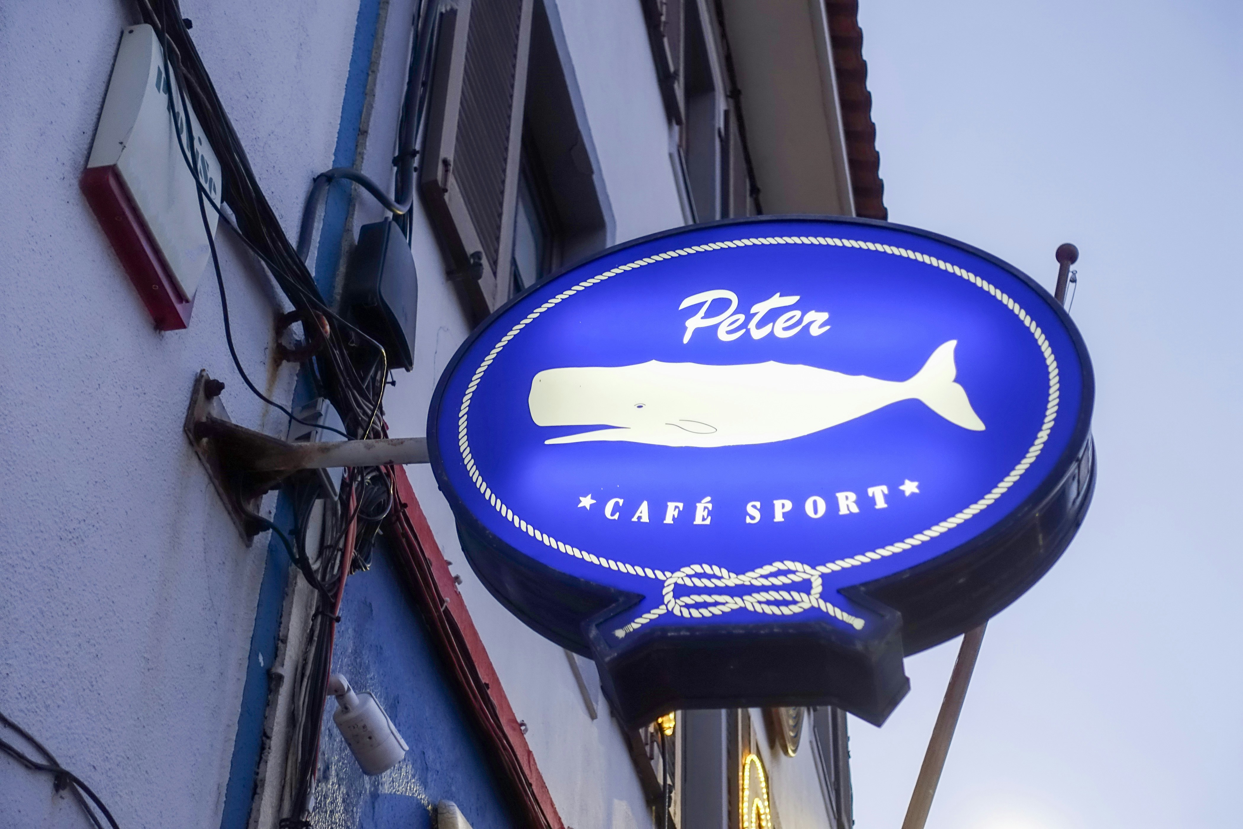 Blue Fish Sign: A Nighttime Café Beacon