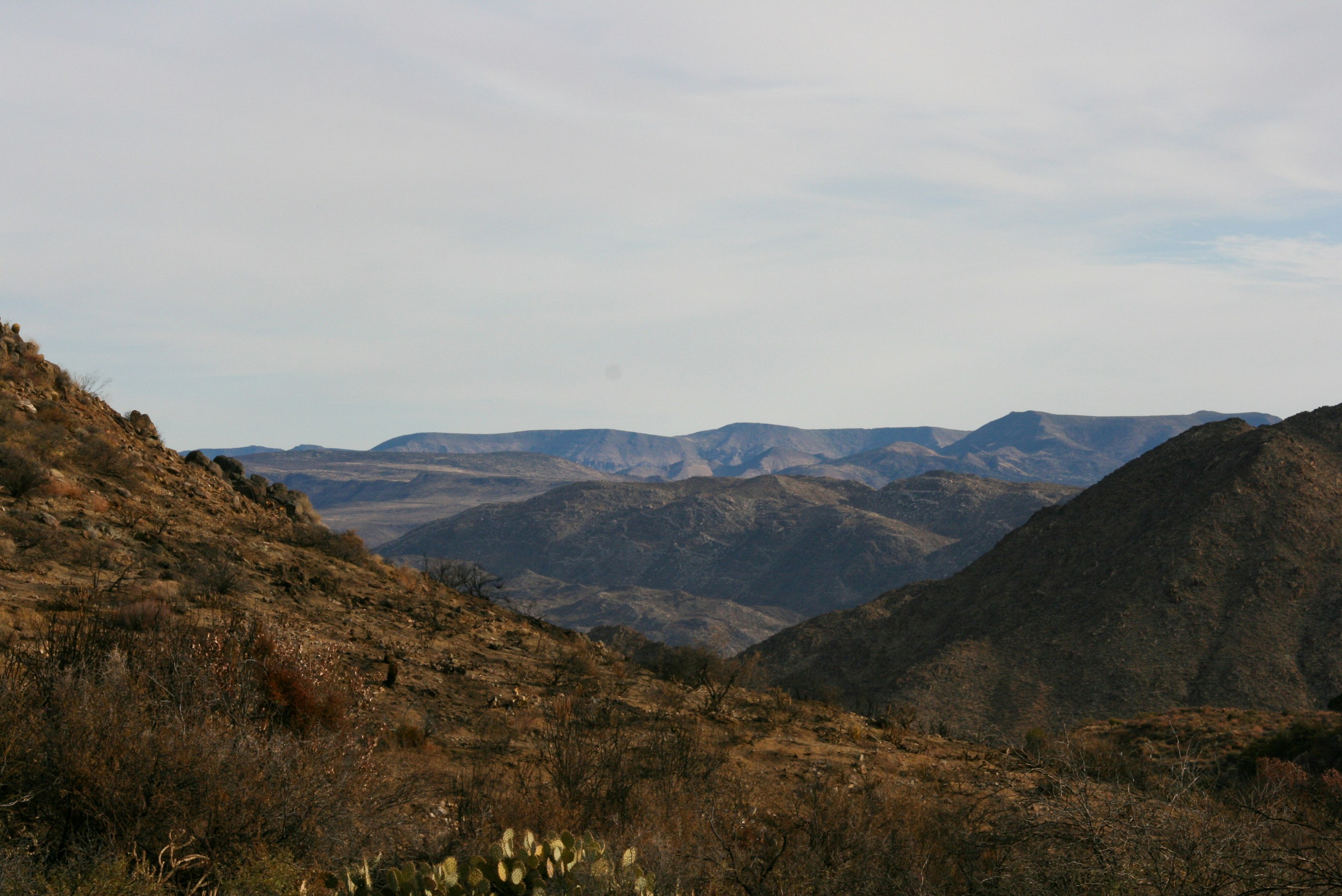 Photo by Jonatan Aguilar with Canon EOS 400D