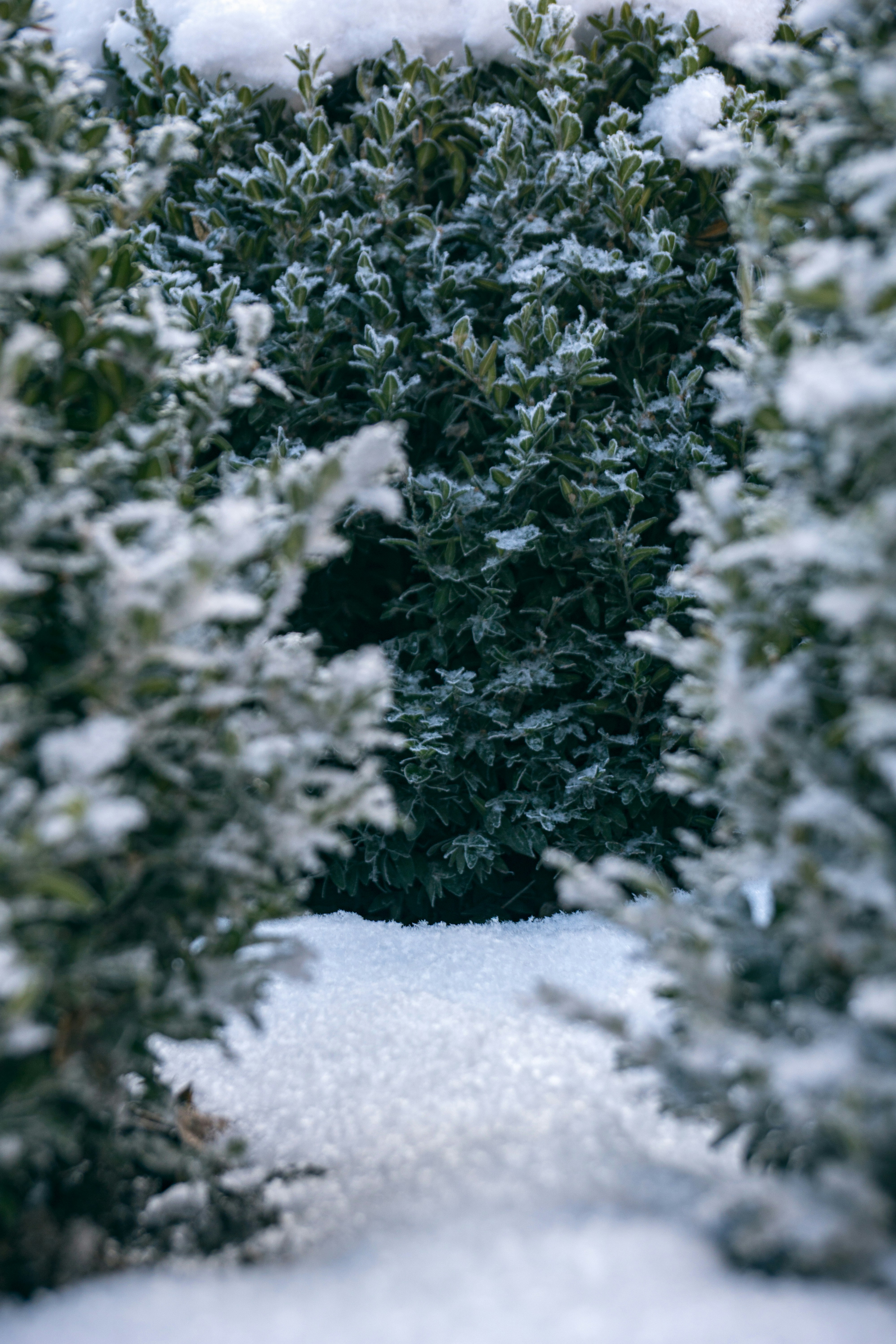 Photo by maks_d with Sony Alpha 77 II