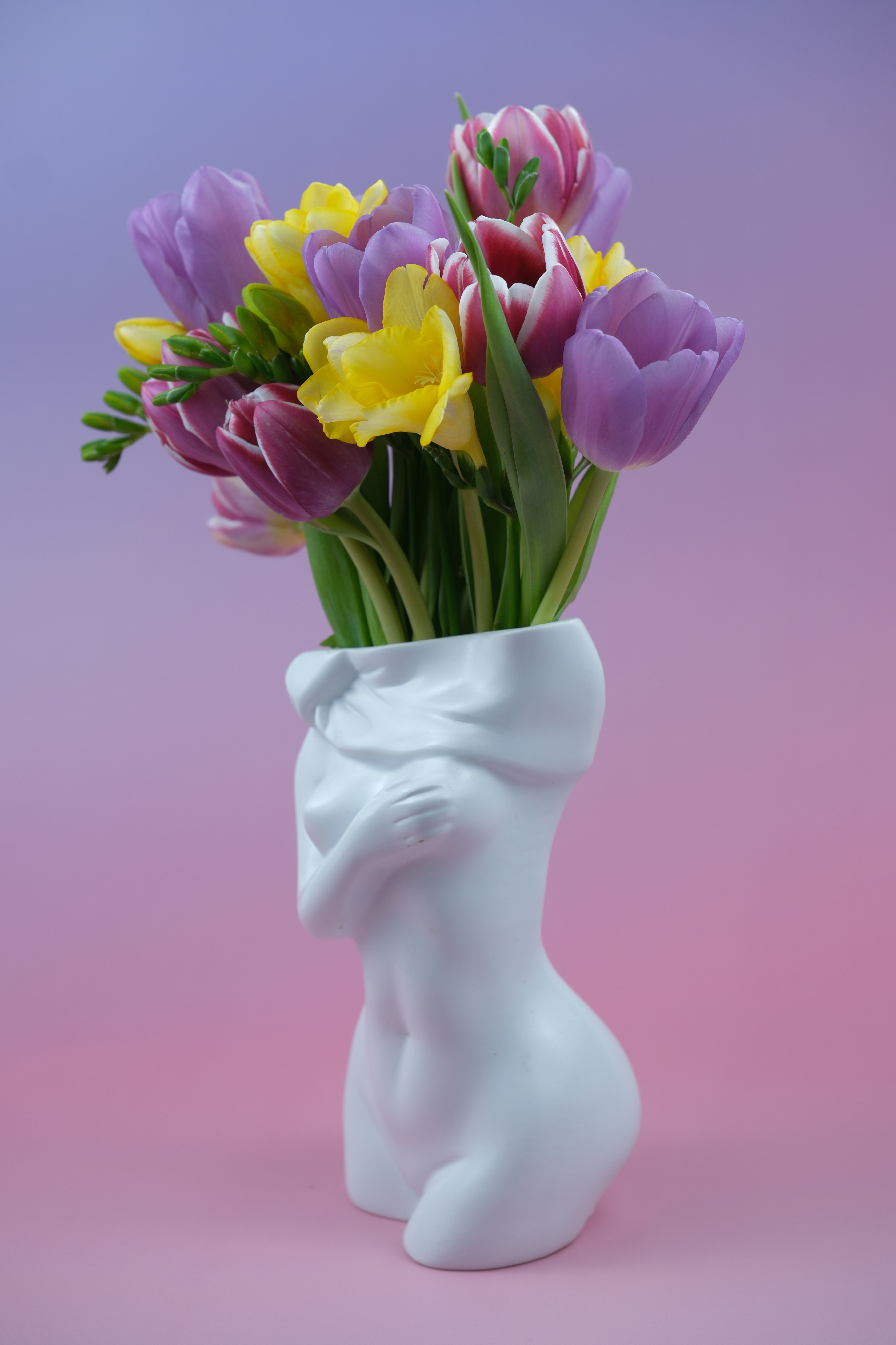 Sculpted Bouquet: Tulips in a White Bust Vase Against a Velvet Gradient