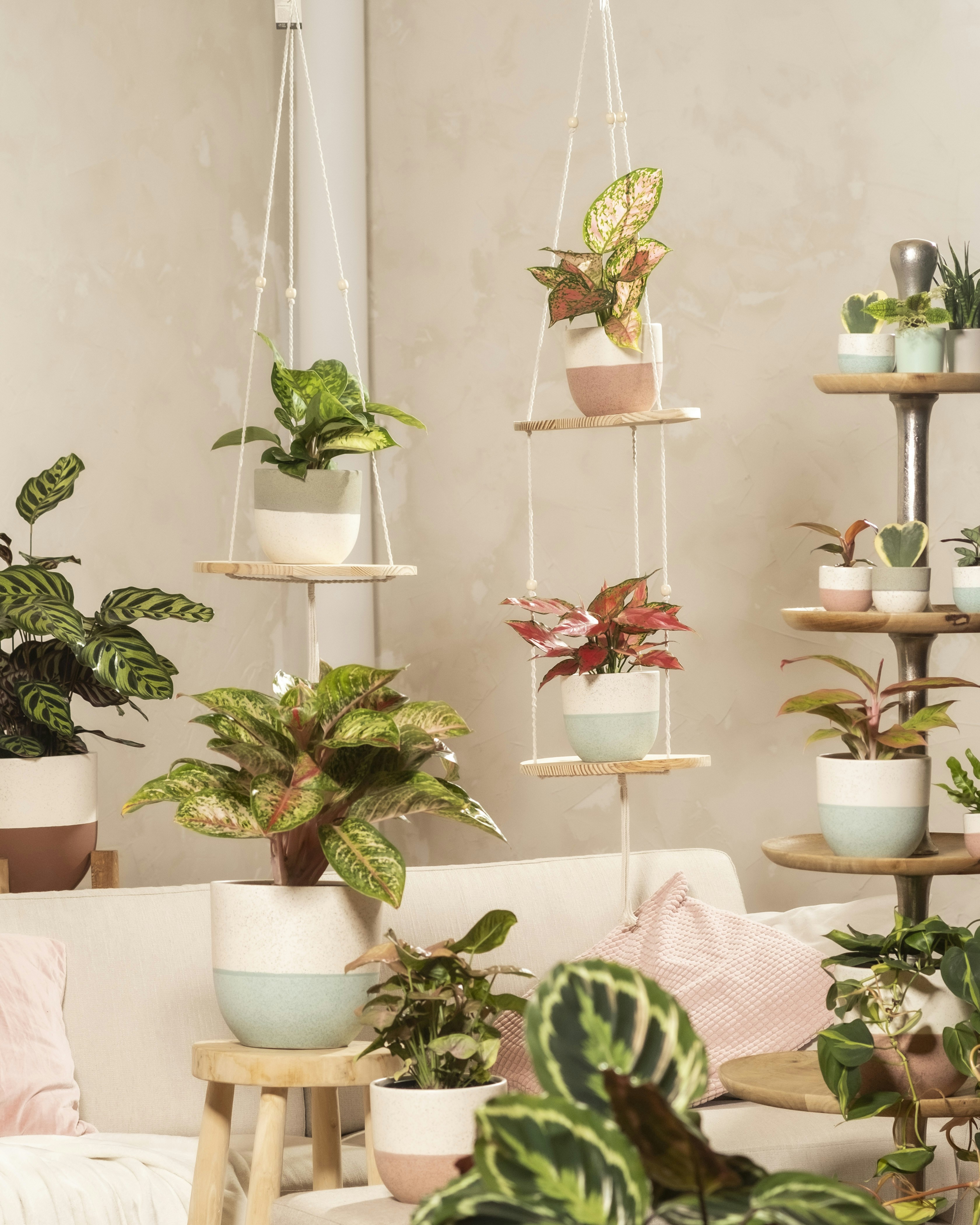 Trailing Hues of Green: A Cozy Plant Nook in Soft Lighting