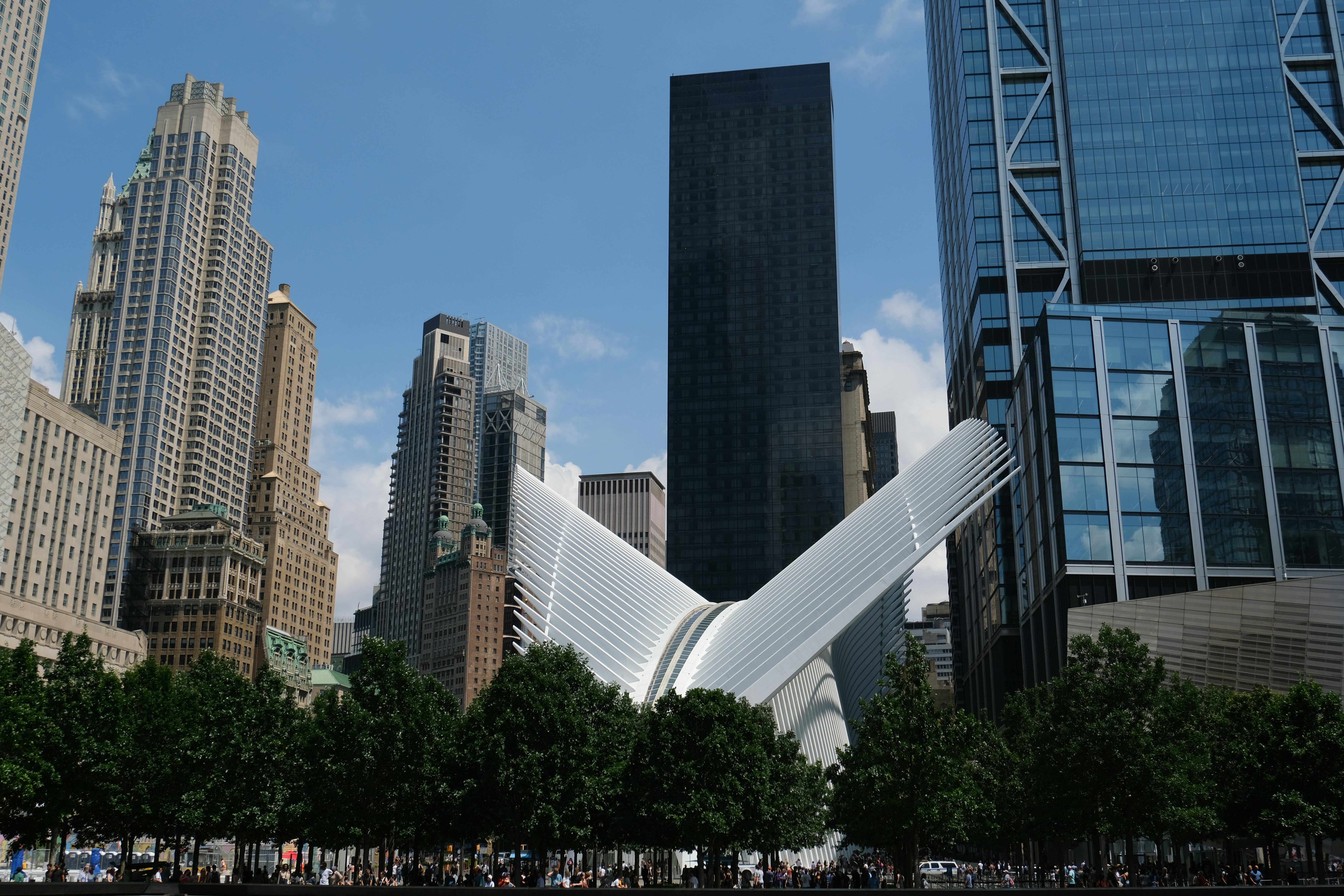 Additional photo of Symphony of Curves