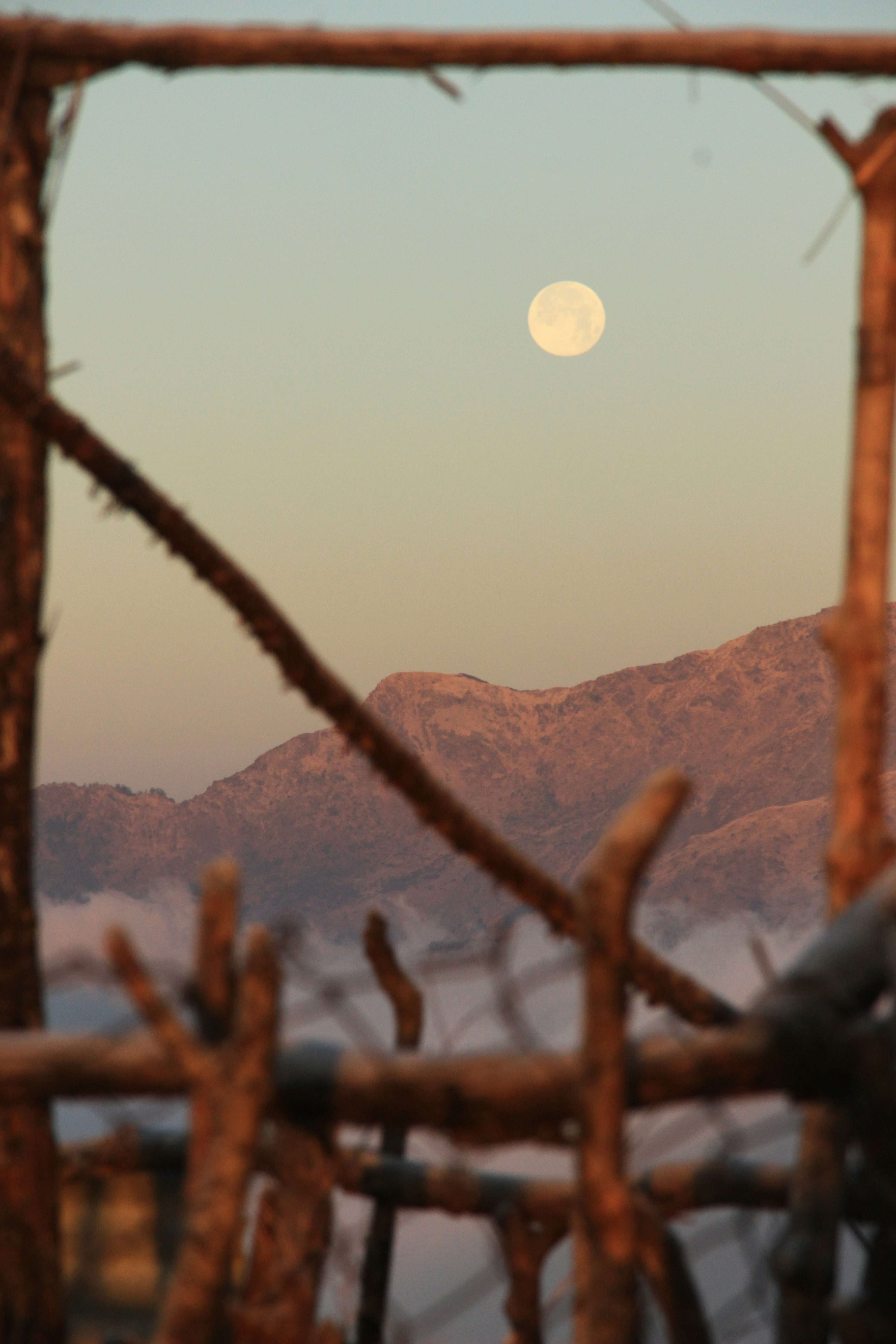 Moonrise over weathered trellis: a warm horizon framed by rustic rails