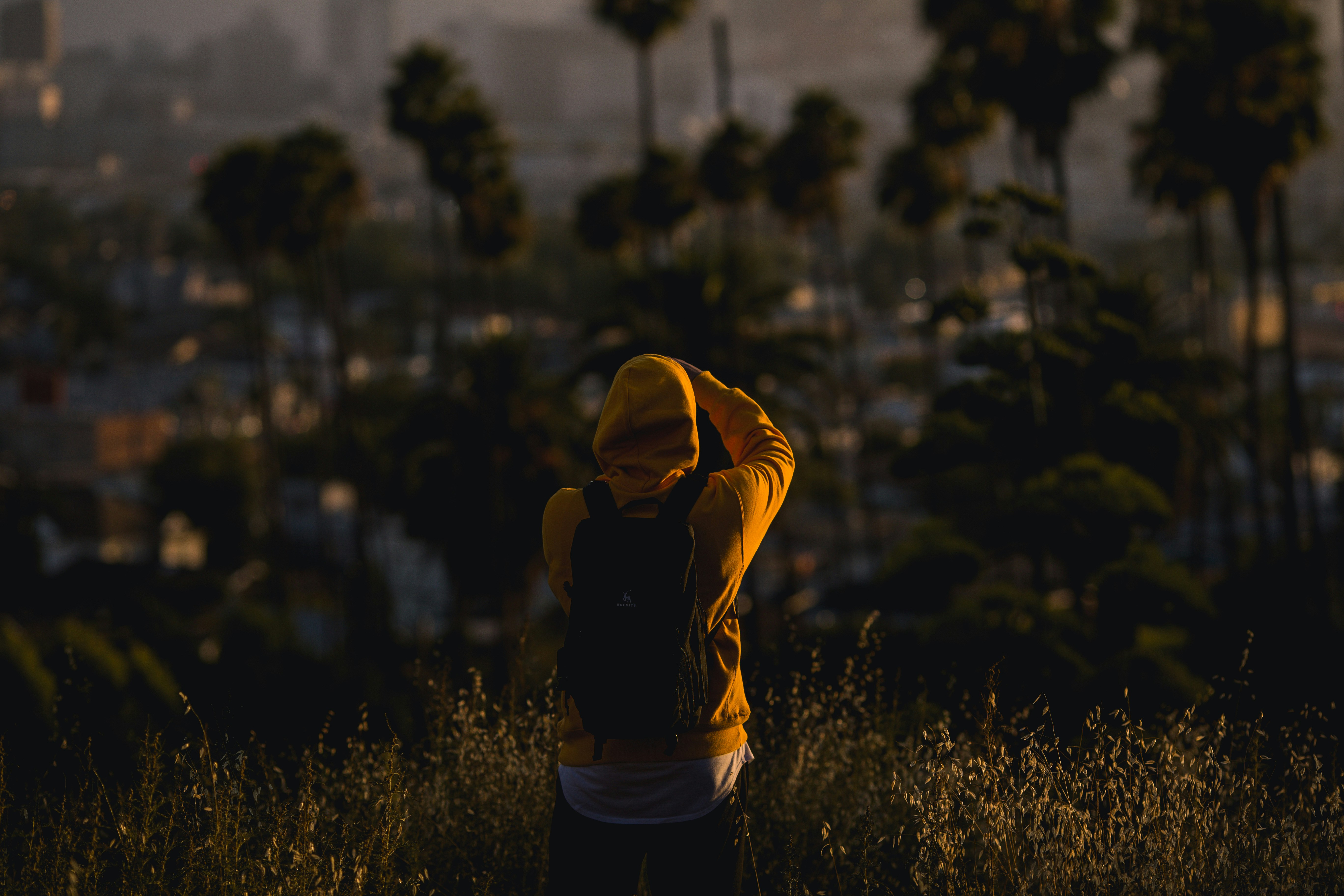 Person in a yellow hoodie photographing Los Angeles skyline at golden hour with palm trees silhouetted.