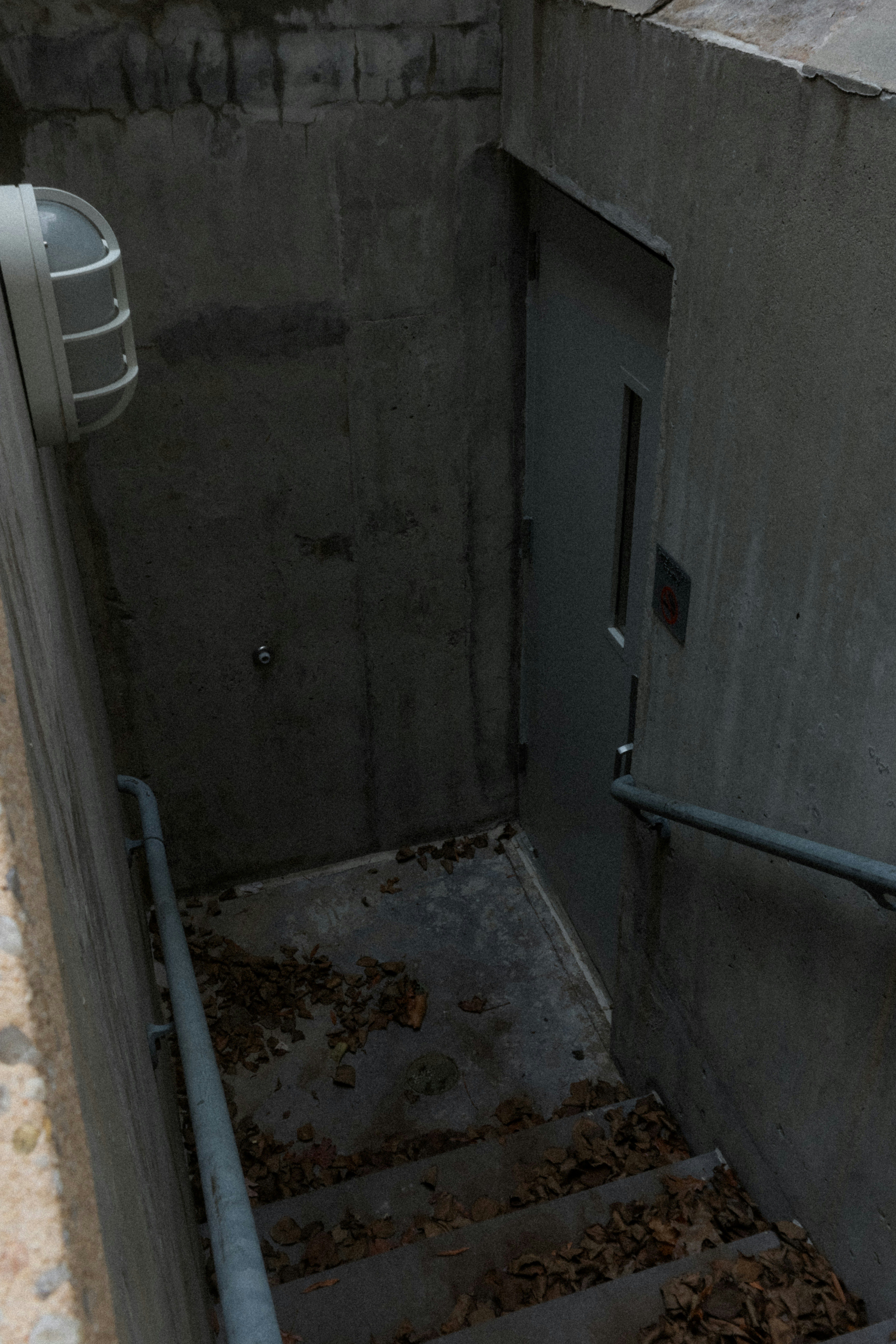 Shadowed Descent: Leaves Collect on a Concrete Stairwell Beneath the City
