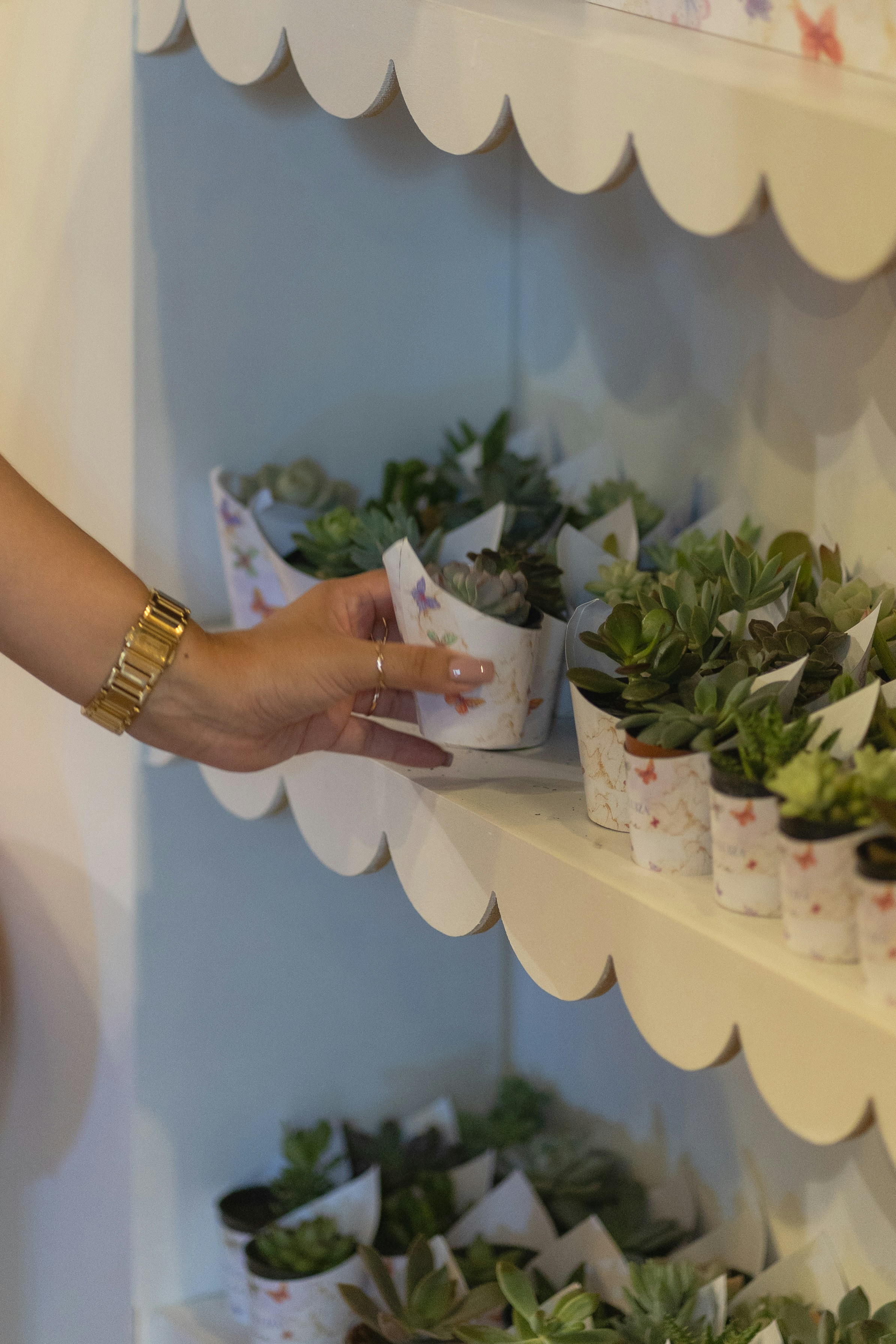Handful of Greenery: Selecting a Succulent from Cream Scalloped Shelves
