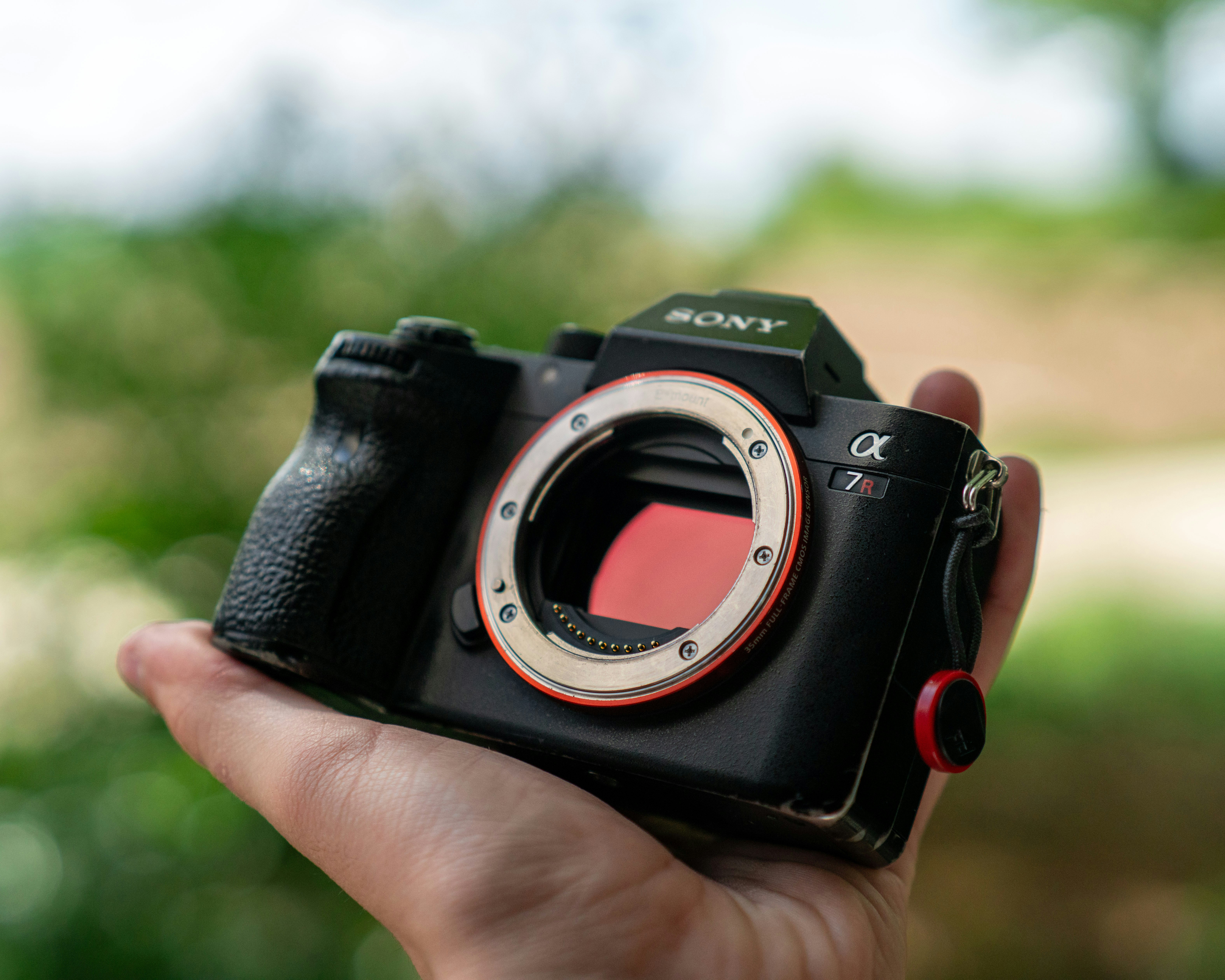 Handheld Precision: The Sony Alpha 7R II on Display