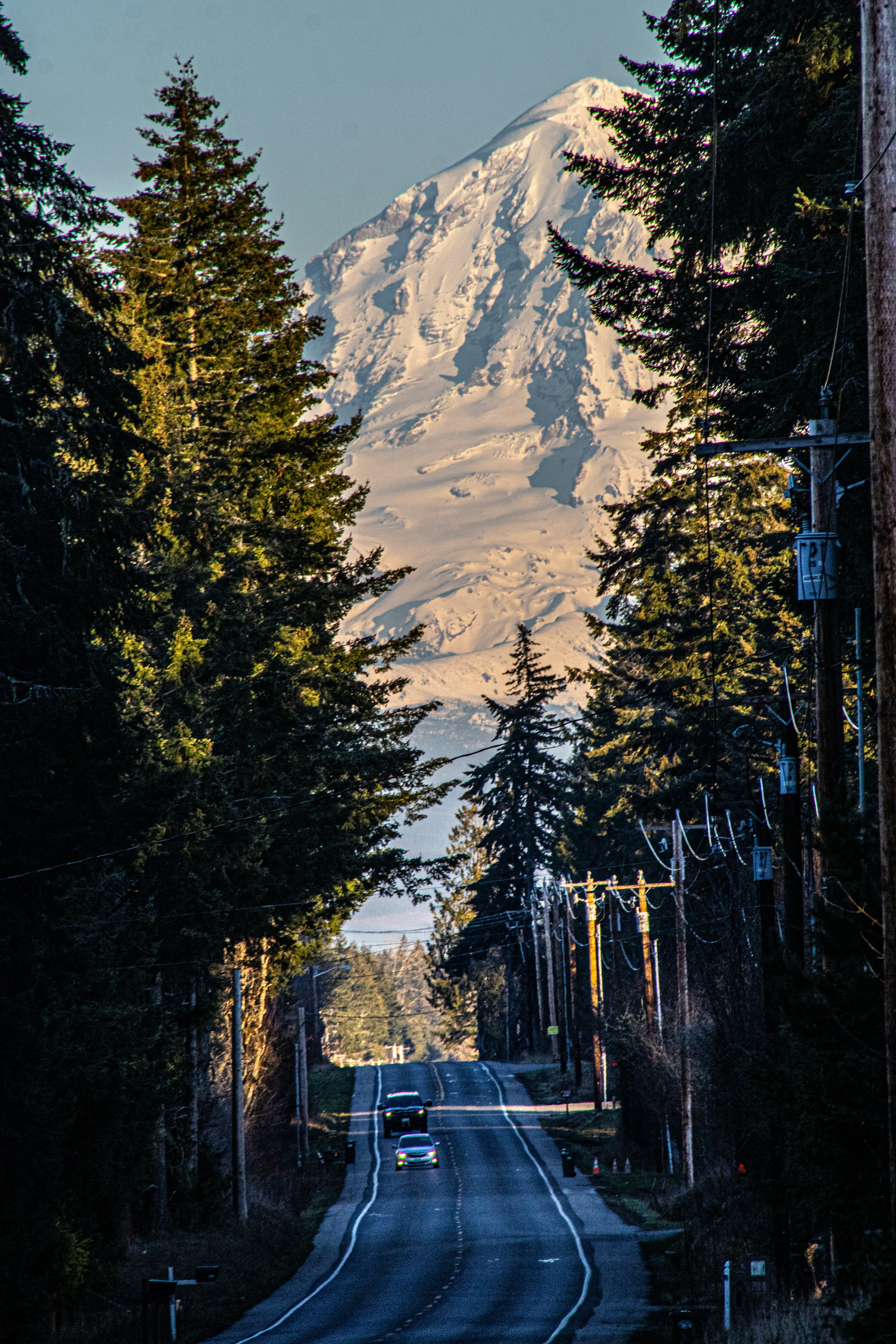 Pine-lined Descent Toward a Snow-Draped Summit