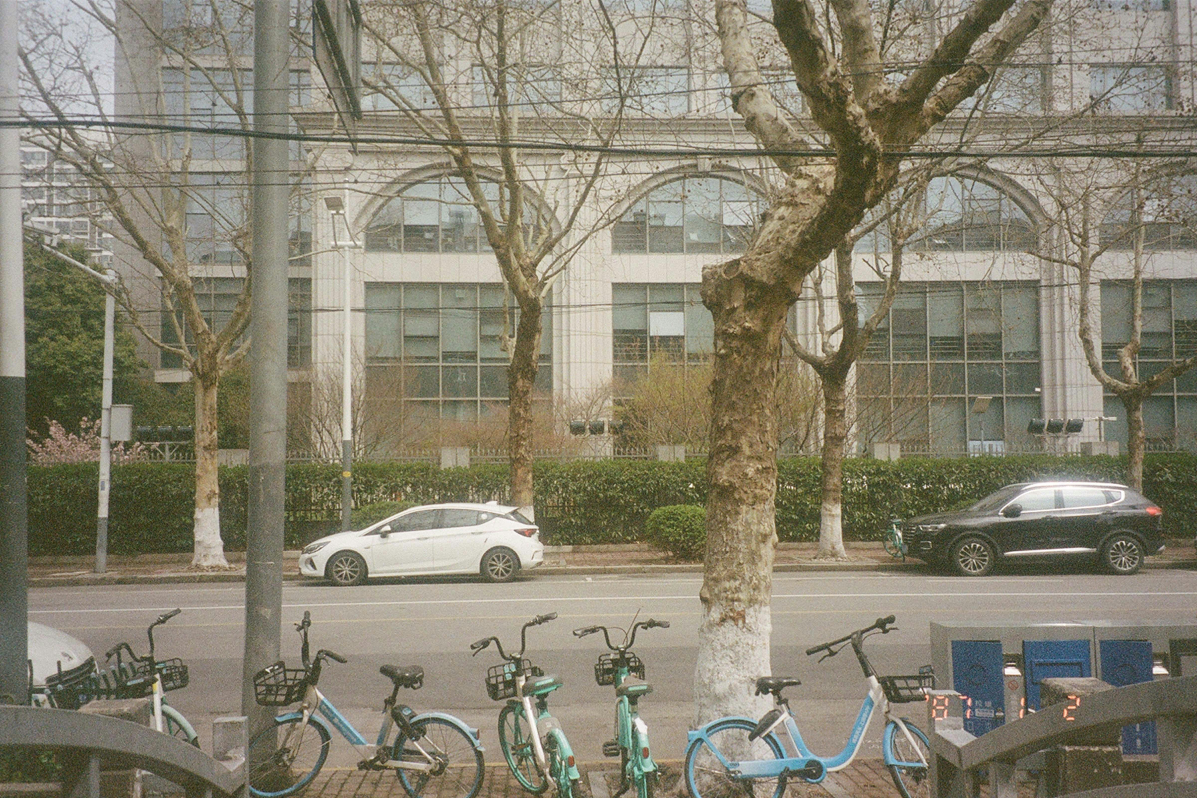 Urban Cycle Lineup Amidst Cityscape