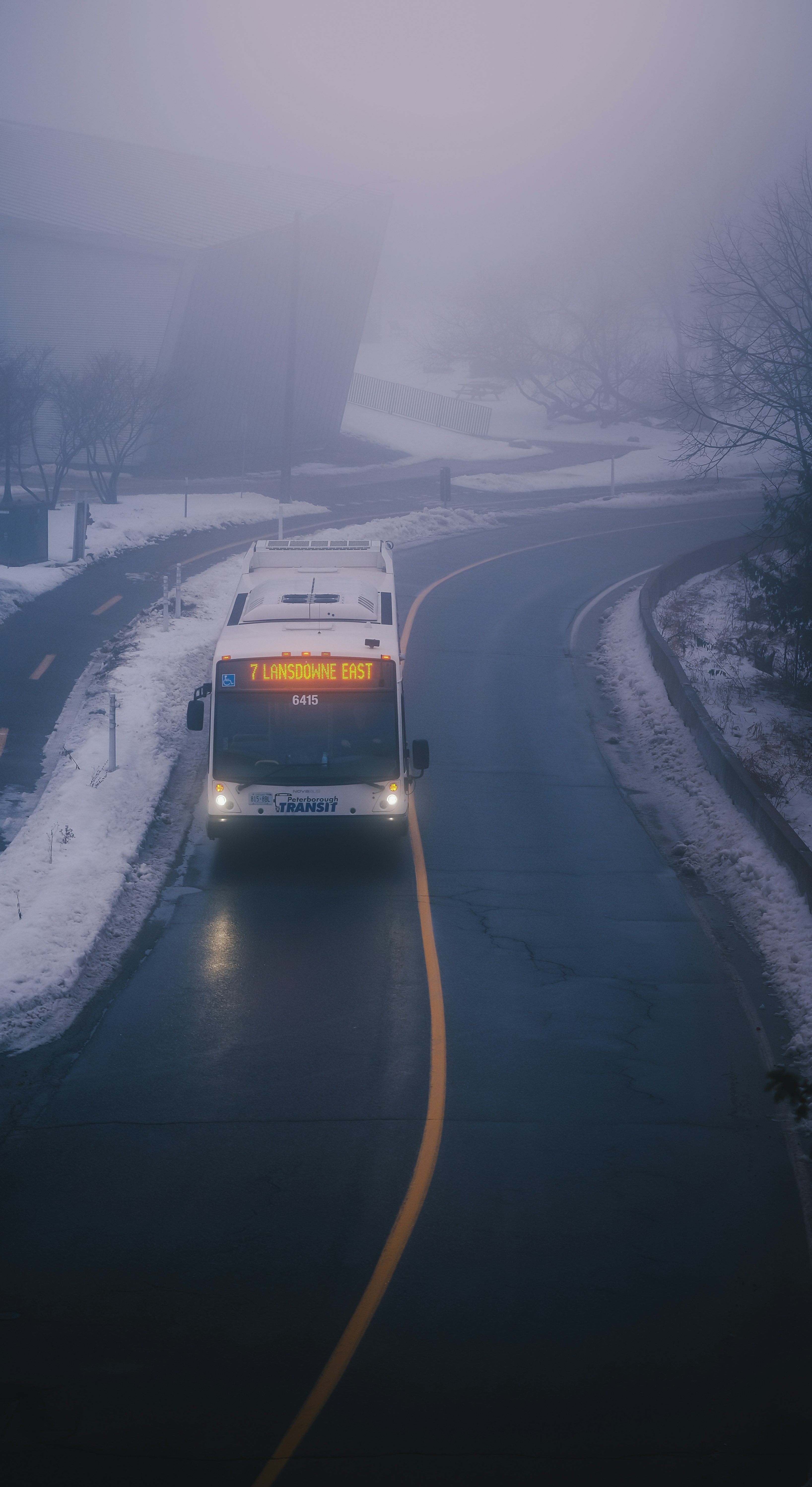Fogbound Route: A Transit Bus Winds Through a Snow-Lined Curve