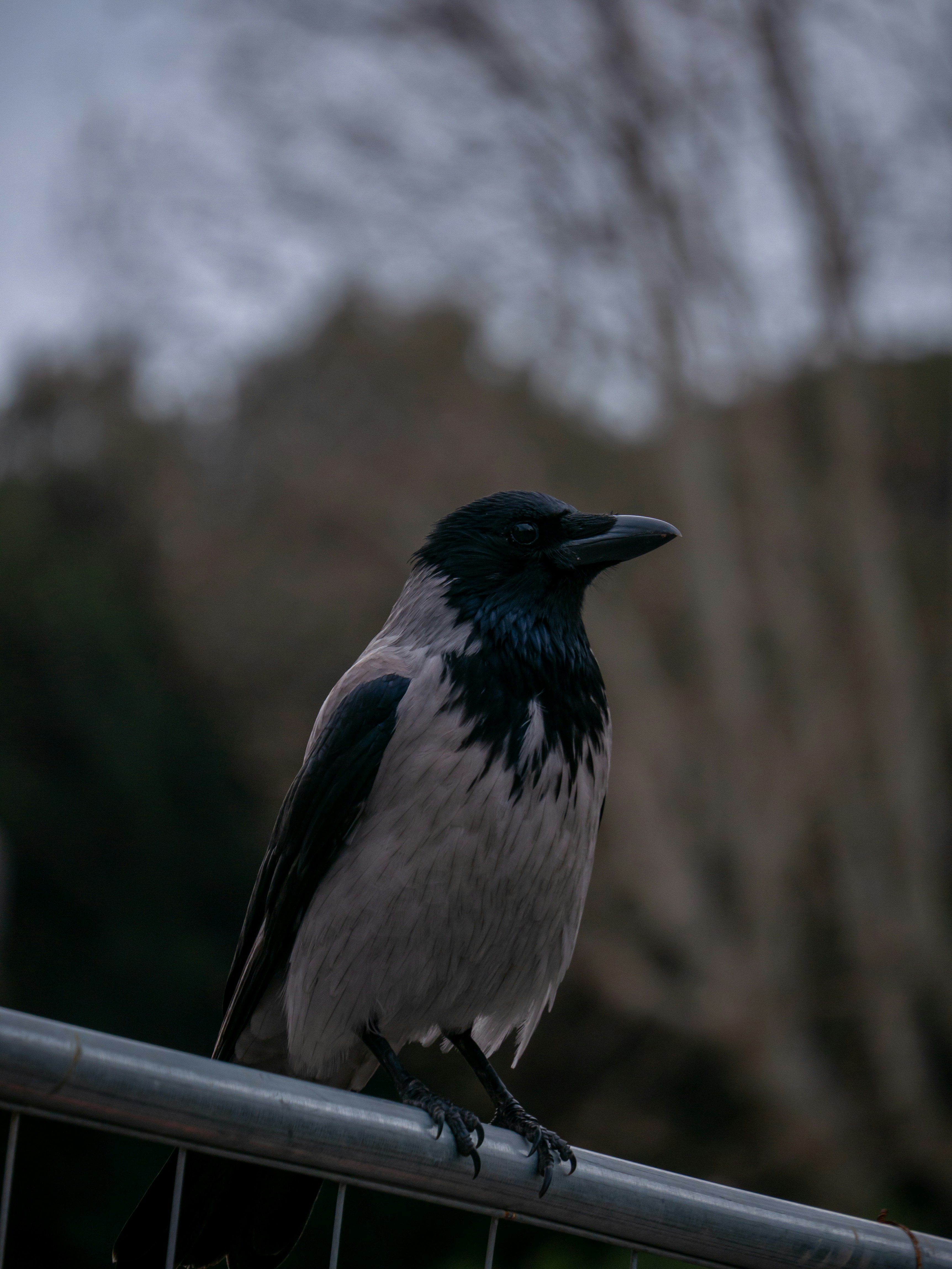 Photo by Katelyn G with Panasonic Lumix G7