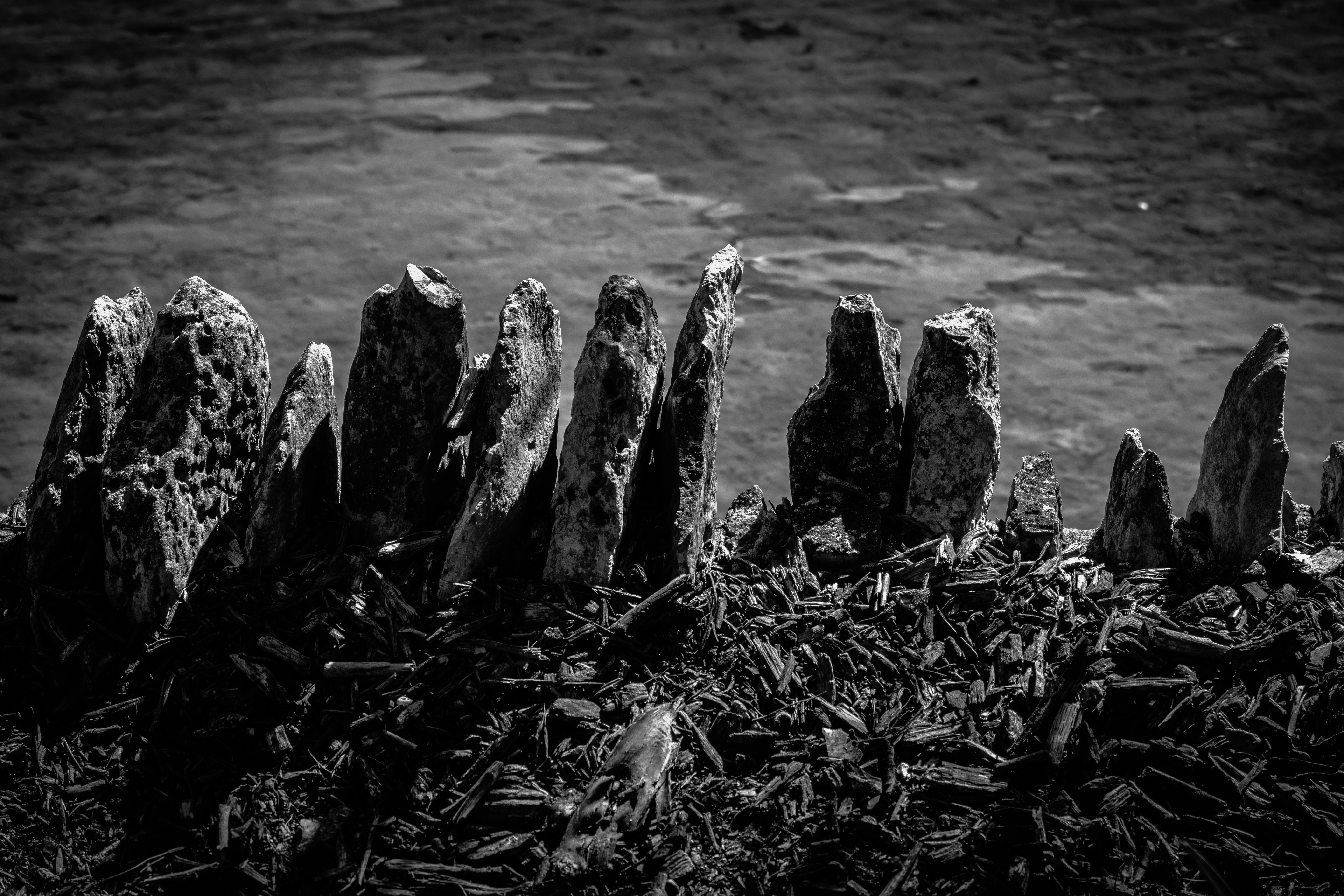 Stone Sentinels: A Monochrome Study in Texture