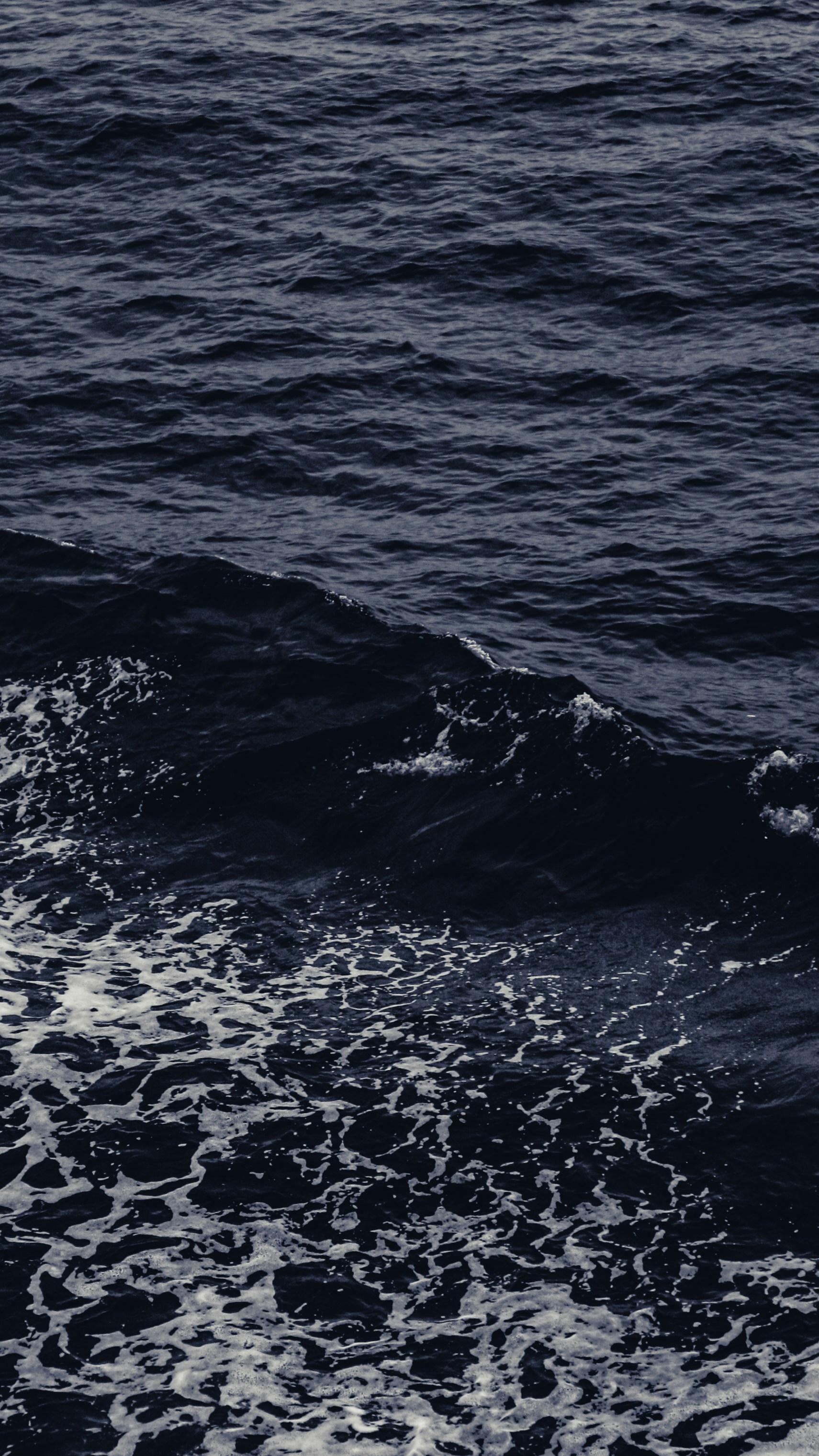 500+ Deep Sea Pictures [HD] | Download Free Images on Unsplash