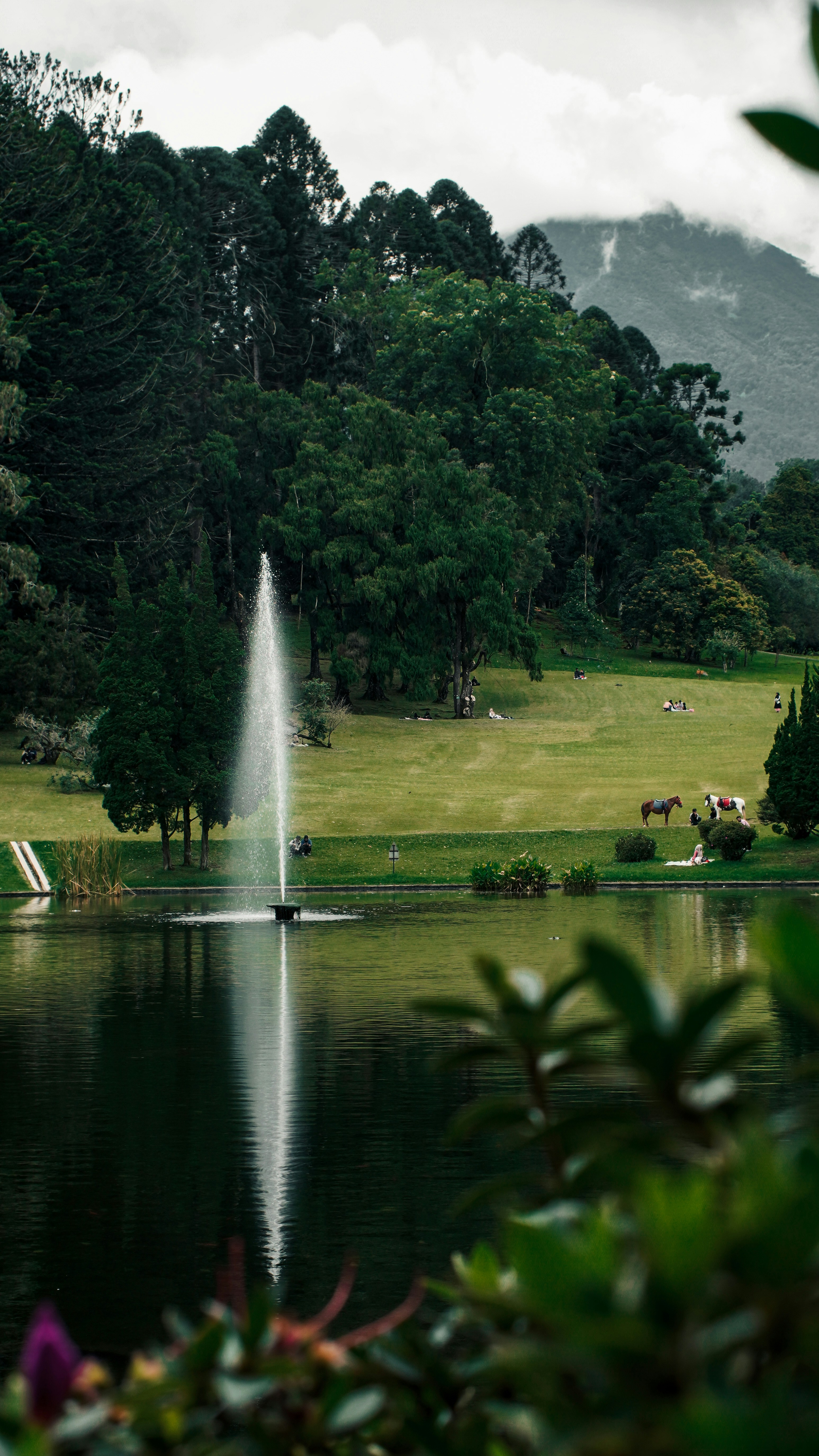 Fountain of Quiet: A Park Lake Framed by Greenery and Distant Hills