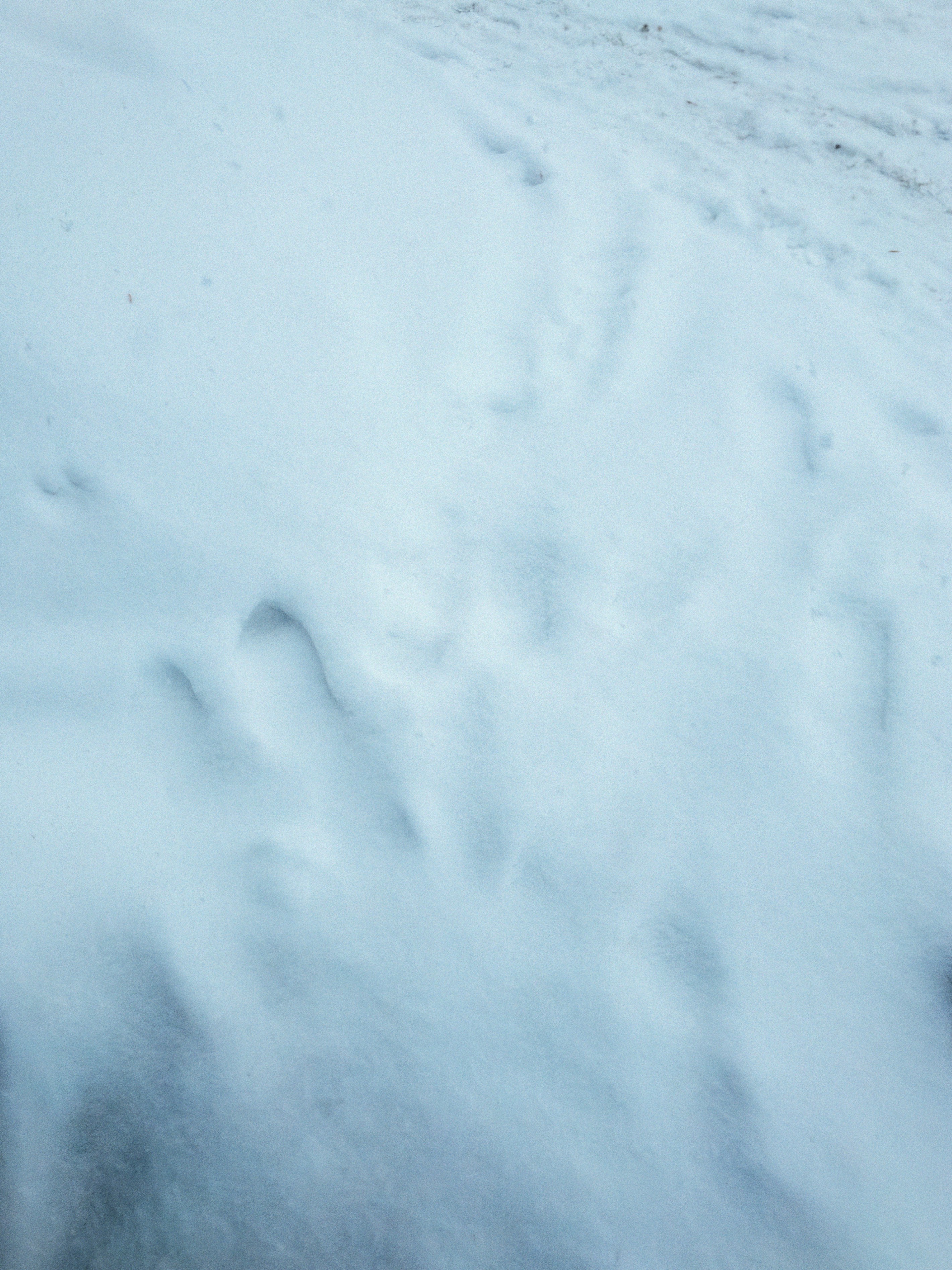 Ridgework in White: A Close-Up Study of Snow's Quiet Texture