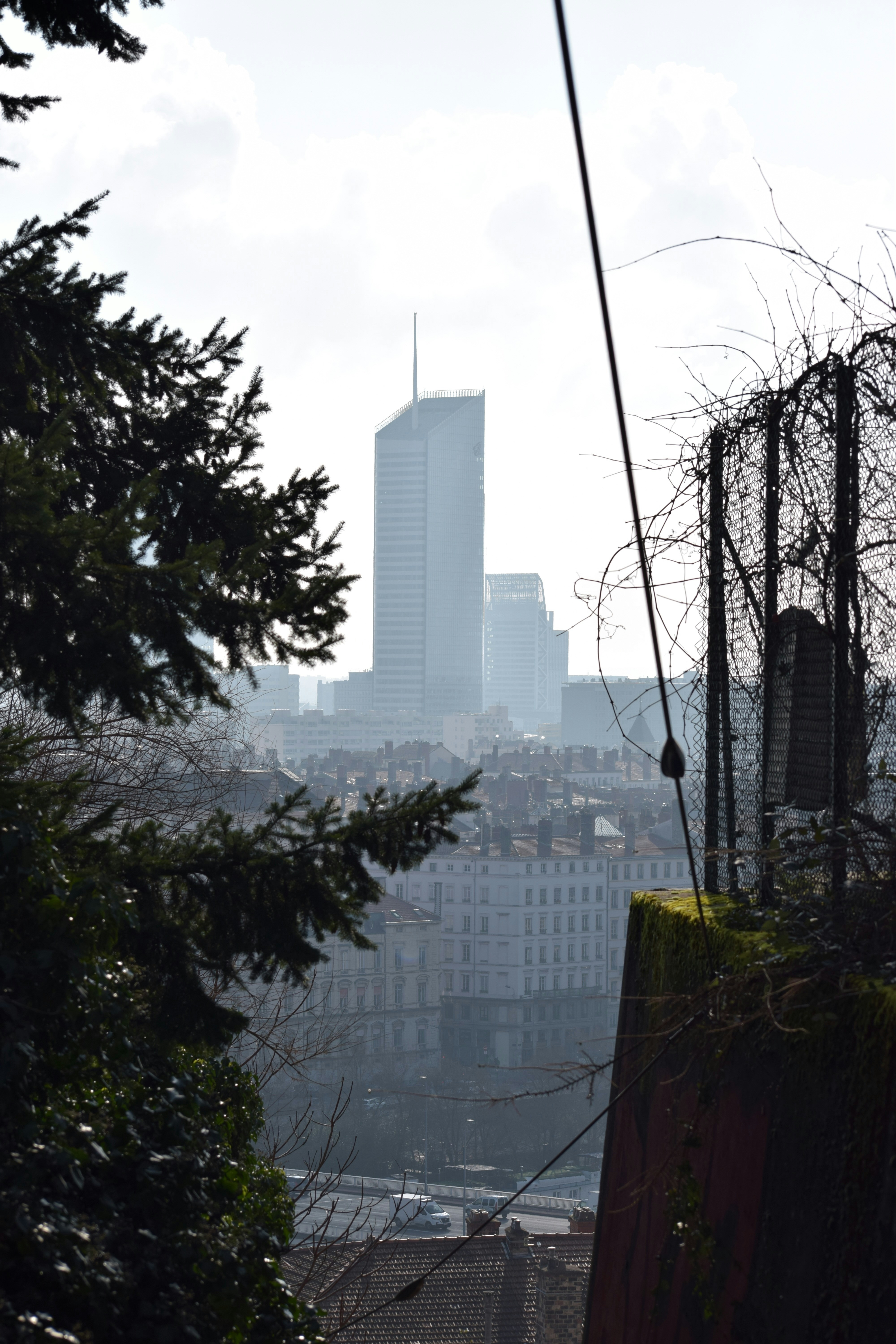 Urban Silhouette Through the Foliage