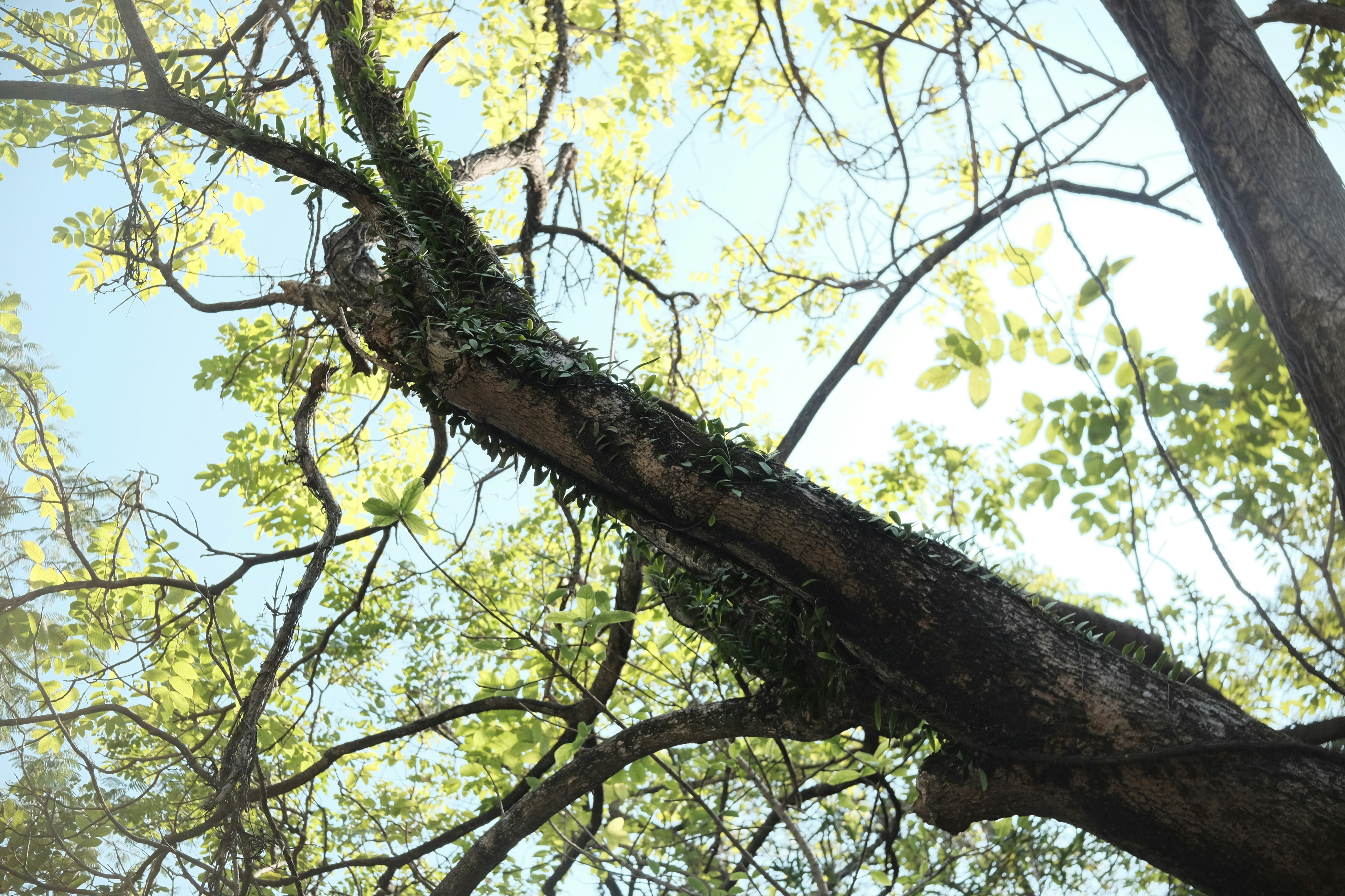 Photo by LONG JAM with Fujifilm X-T1