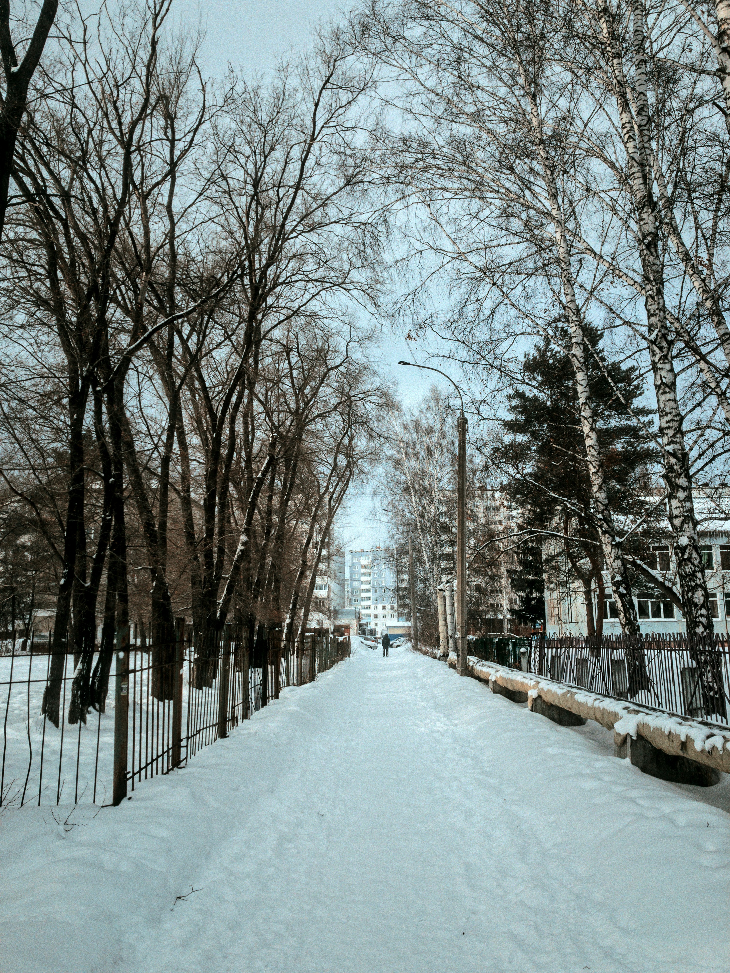 Photo by Egor Litvinov with Apple iPhone SE