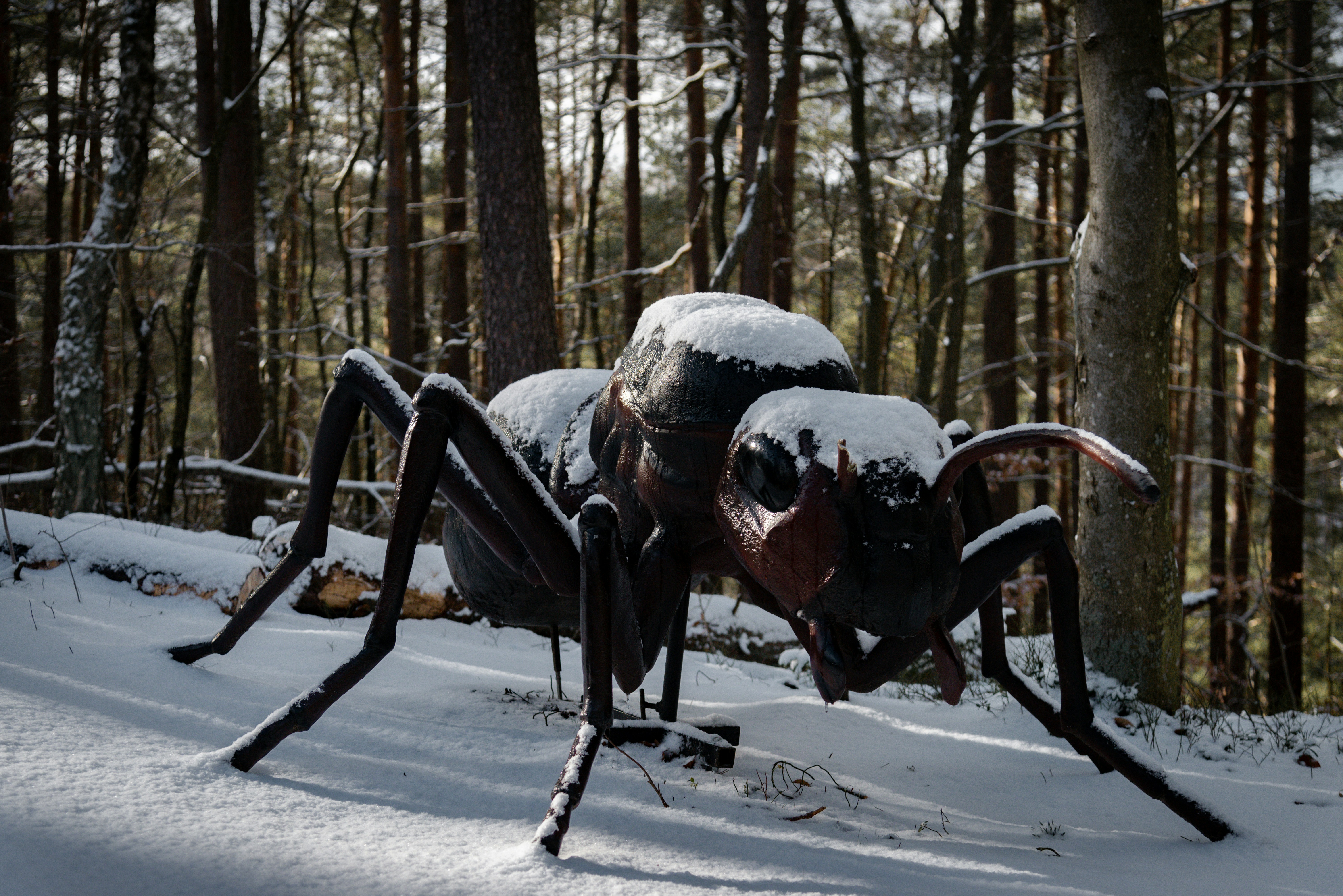 Giant Snow-Crowned Spider in a Silent Winter Forest