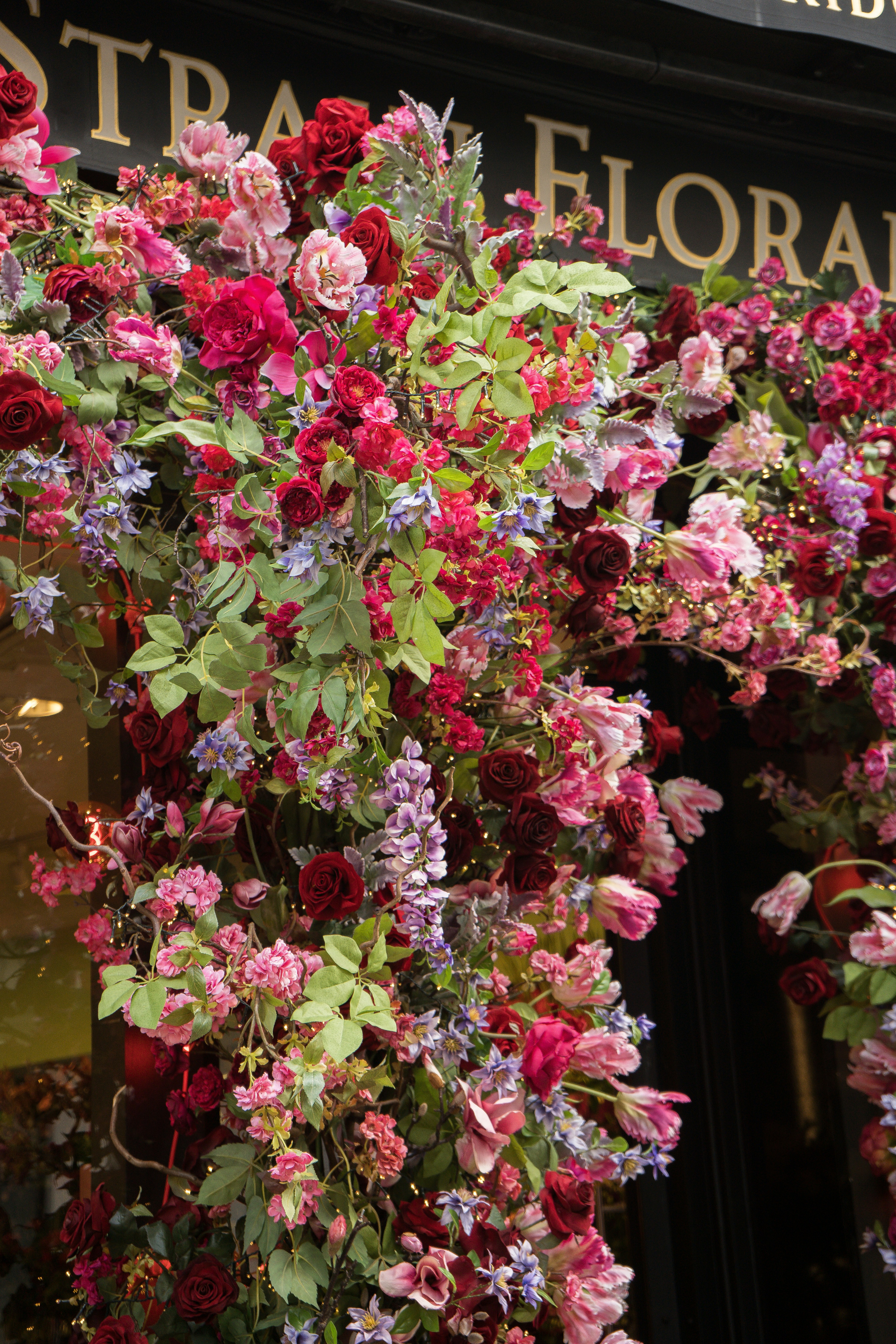 Doorway Bloom: A Floral Cascade of Pinks, Reds, and Lavenders