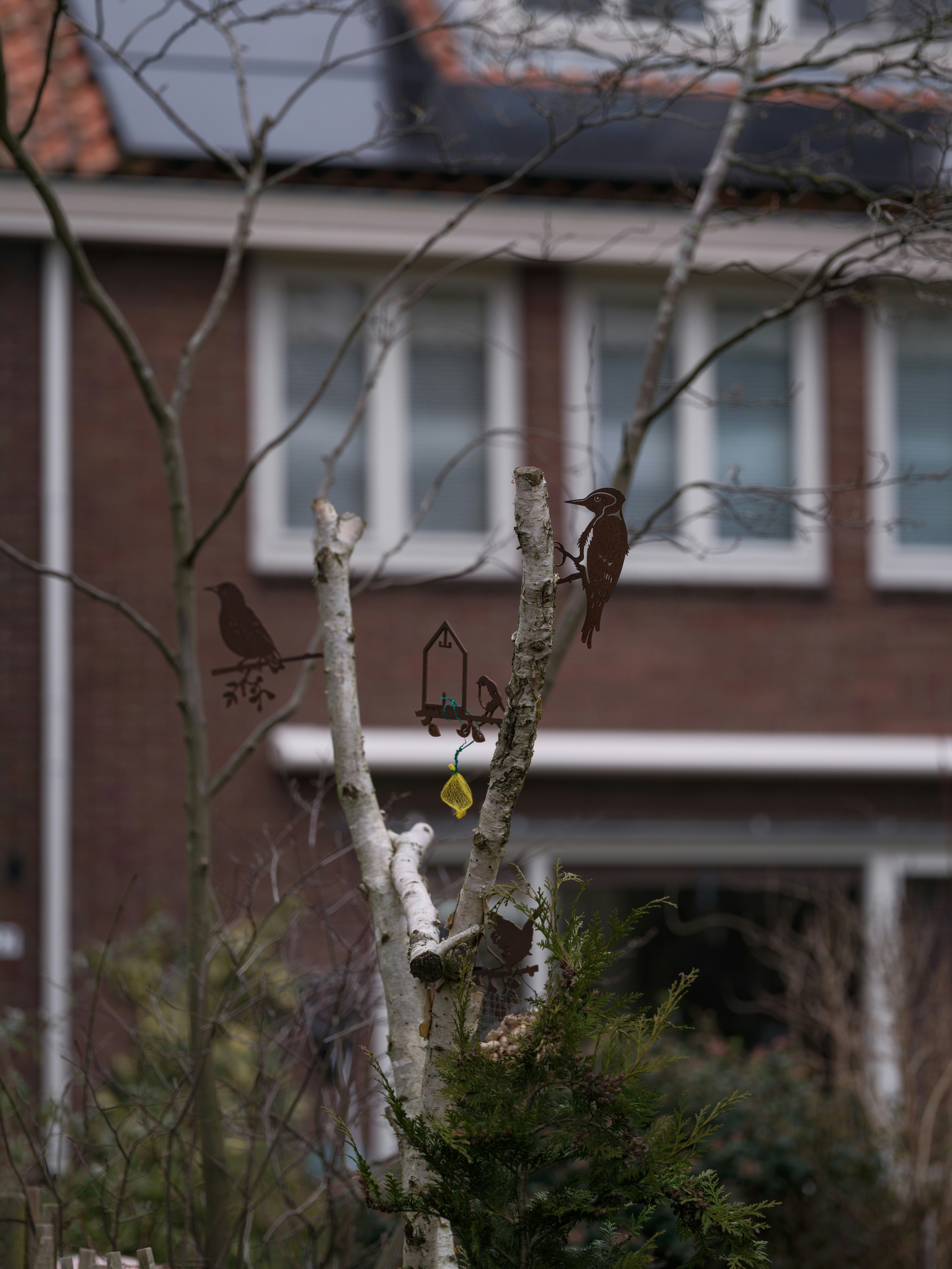 Bird Feeder