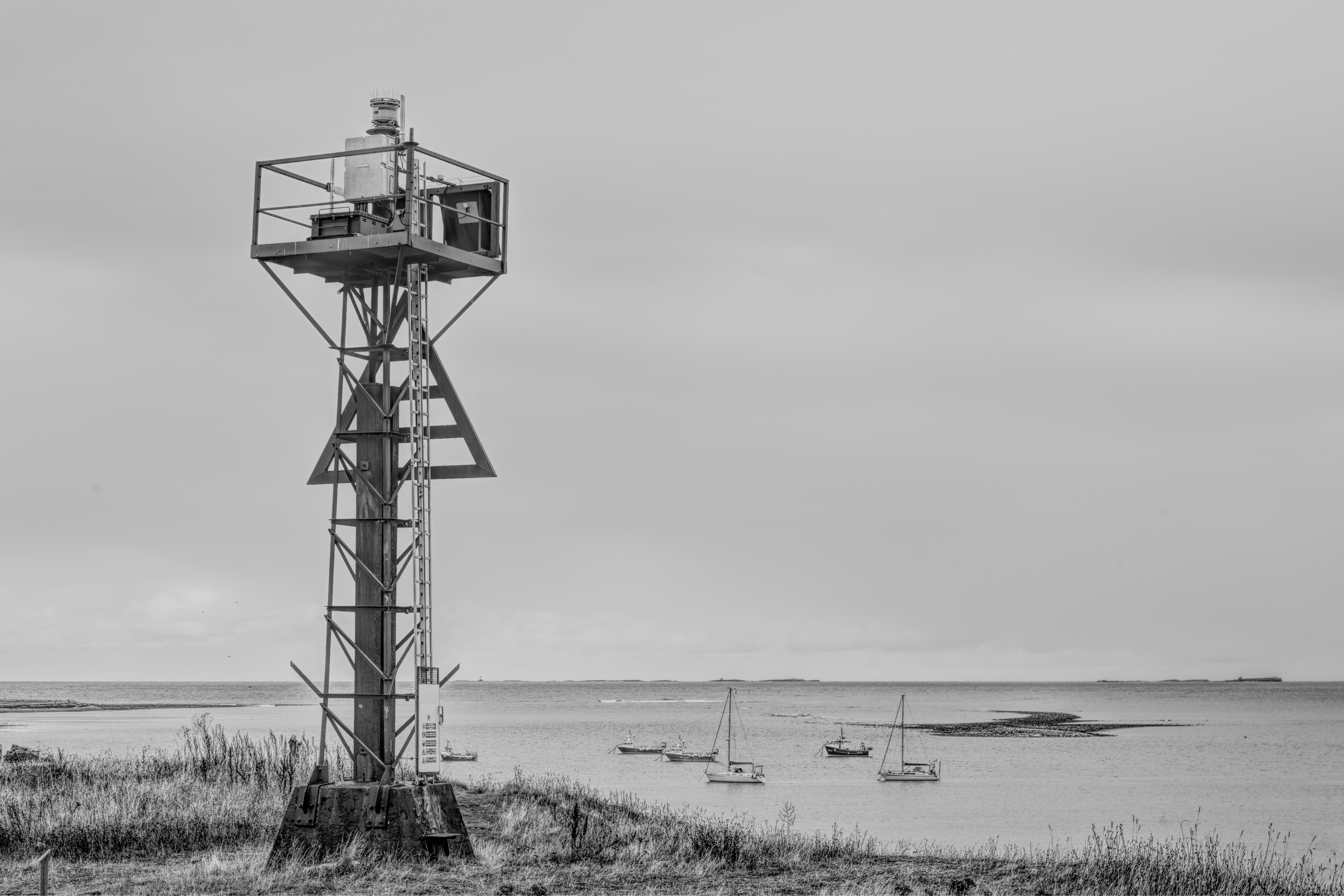 Coastal Sentinel in Monochrome