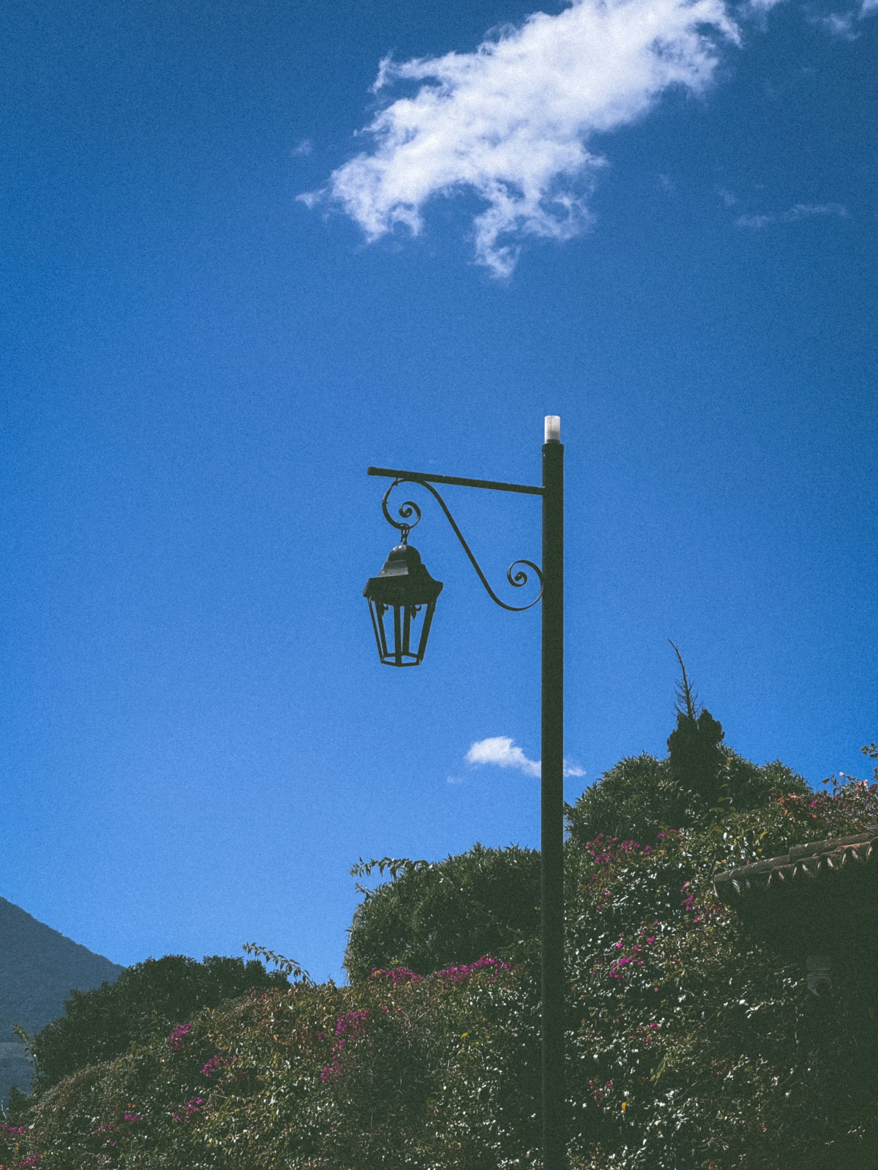 Lone Lantern Under a Clear Blue Canopy