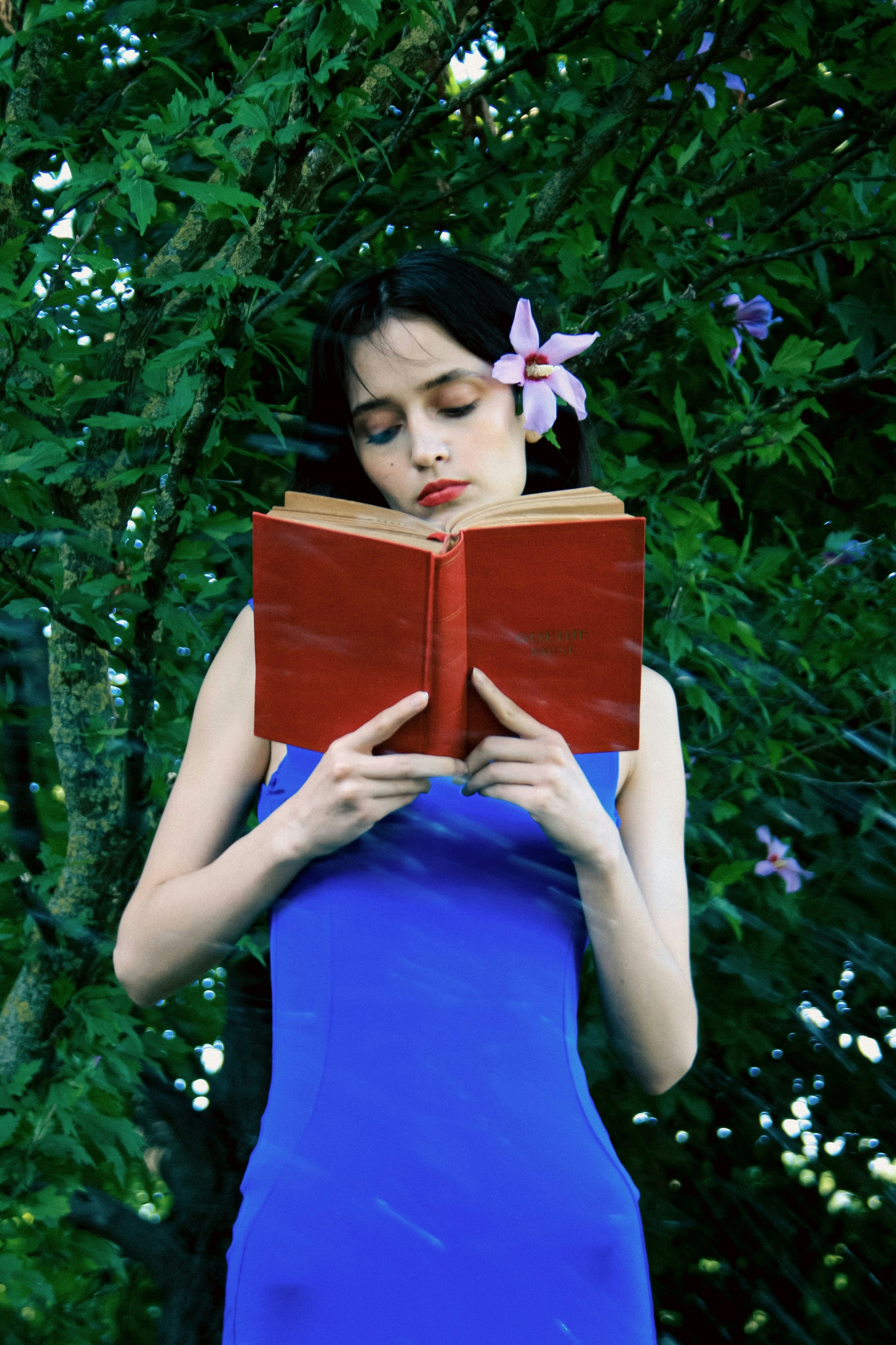 A woman in a blue dress reading a book photo – Free Flower Image on ...