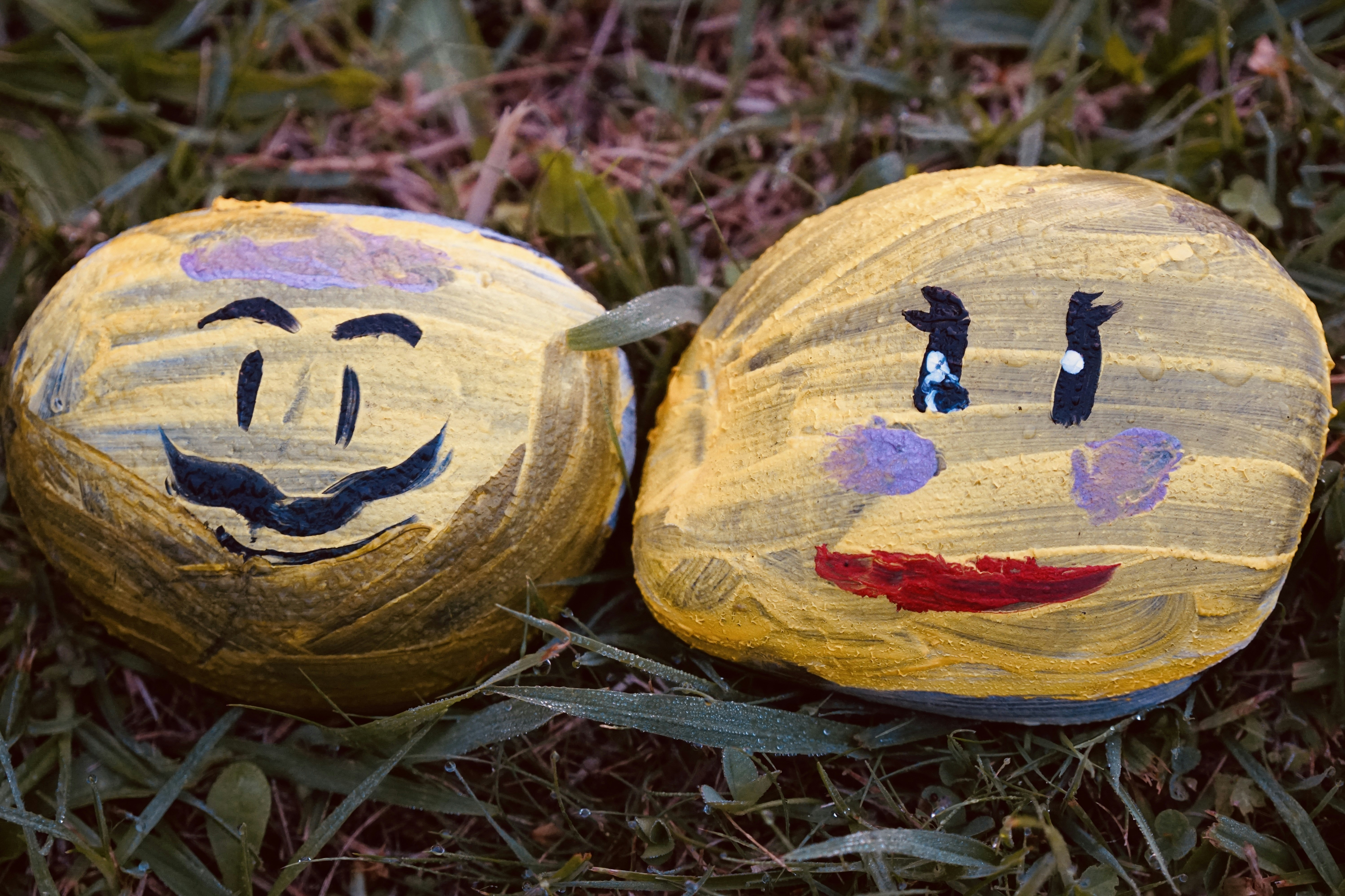 Smiling Faces on Painted Pebbles Resting in Grass