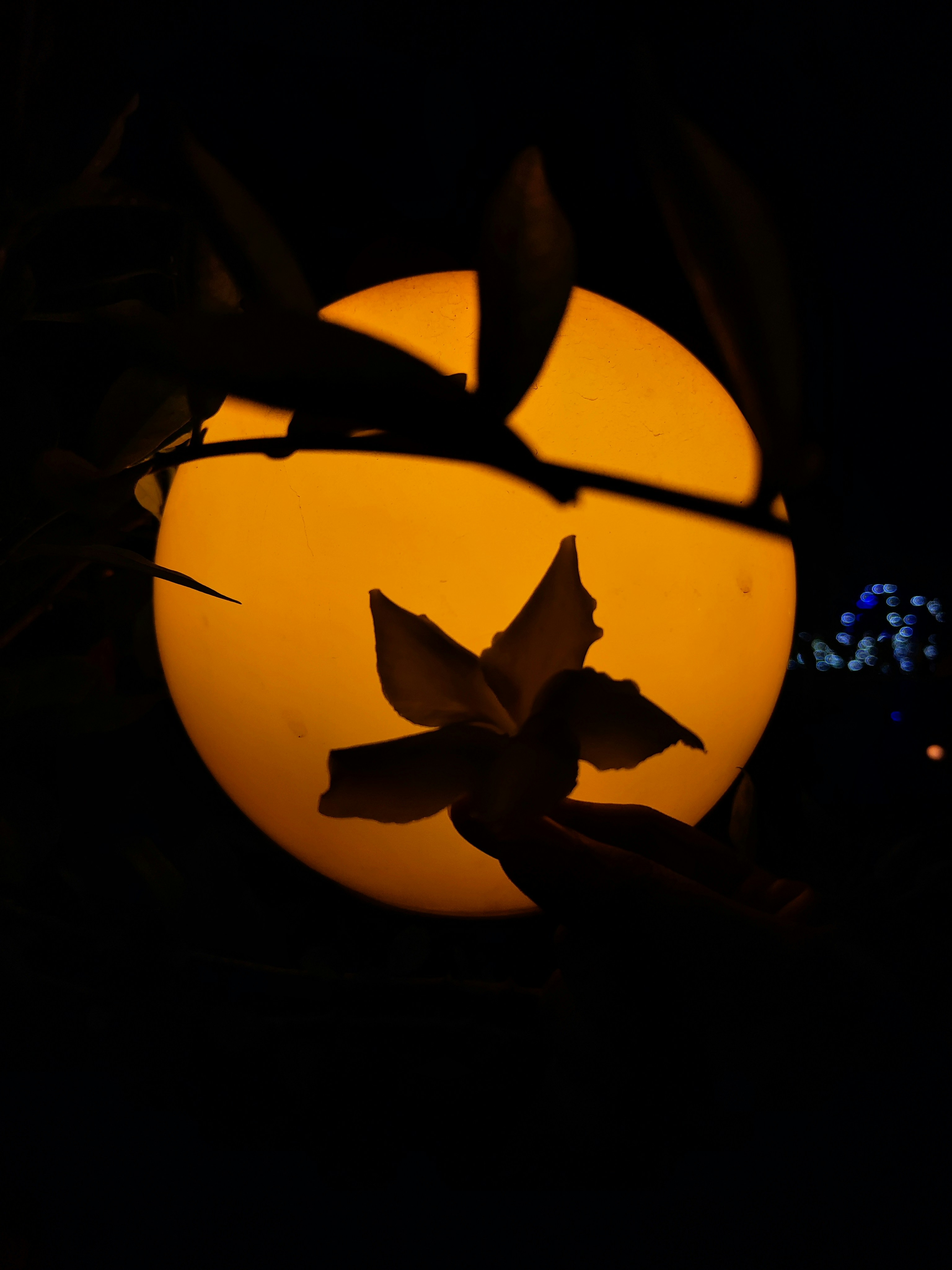 Silhouette of a flower against a glowing orb, creating a striking contrast in a nighttime setting.