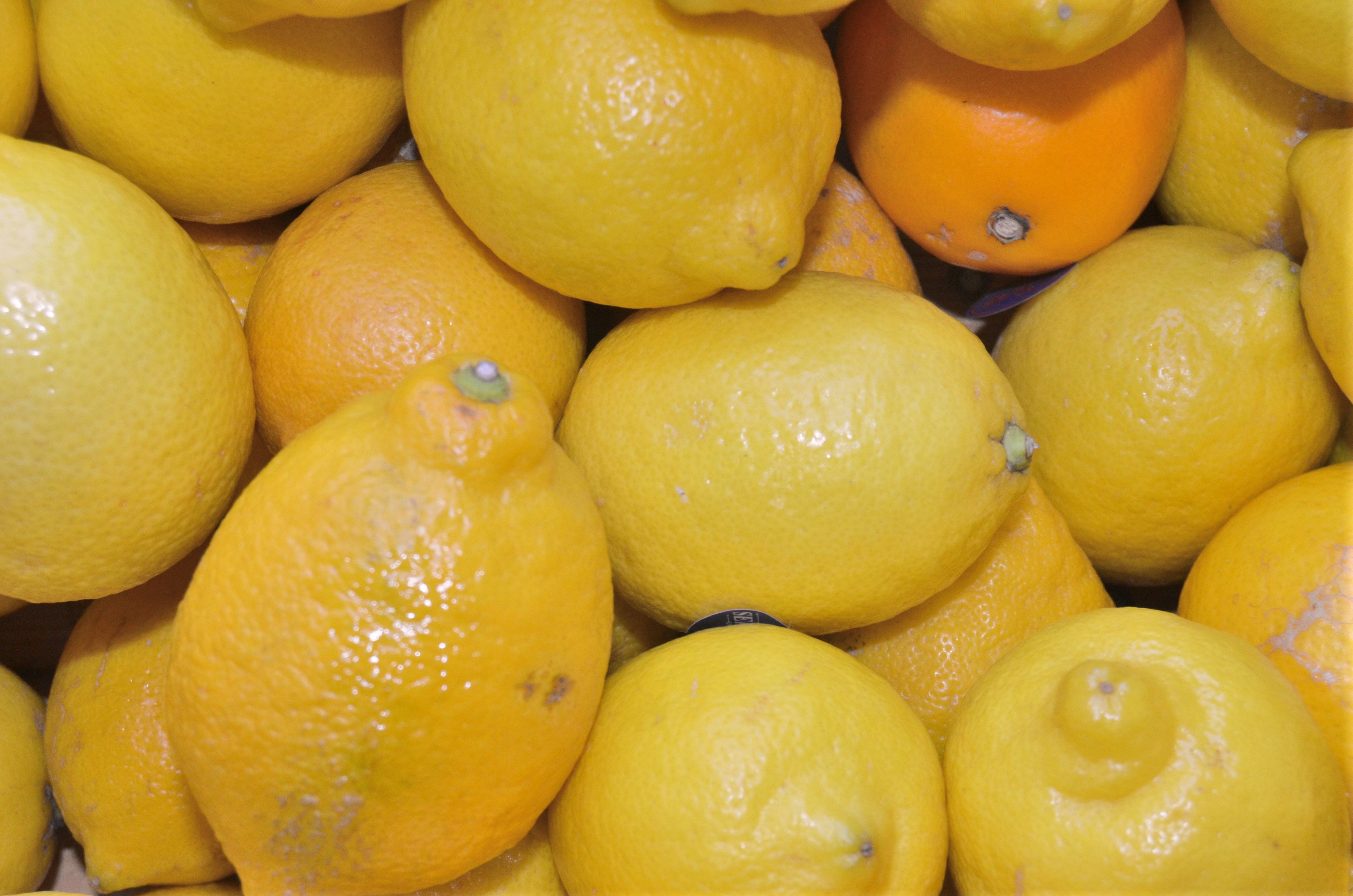 A pile of lemons sitting next to each other photo – Free Food Image on ...