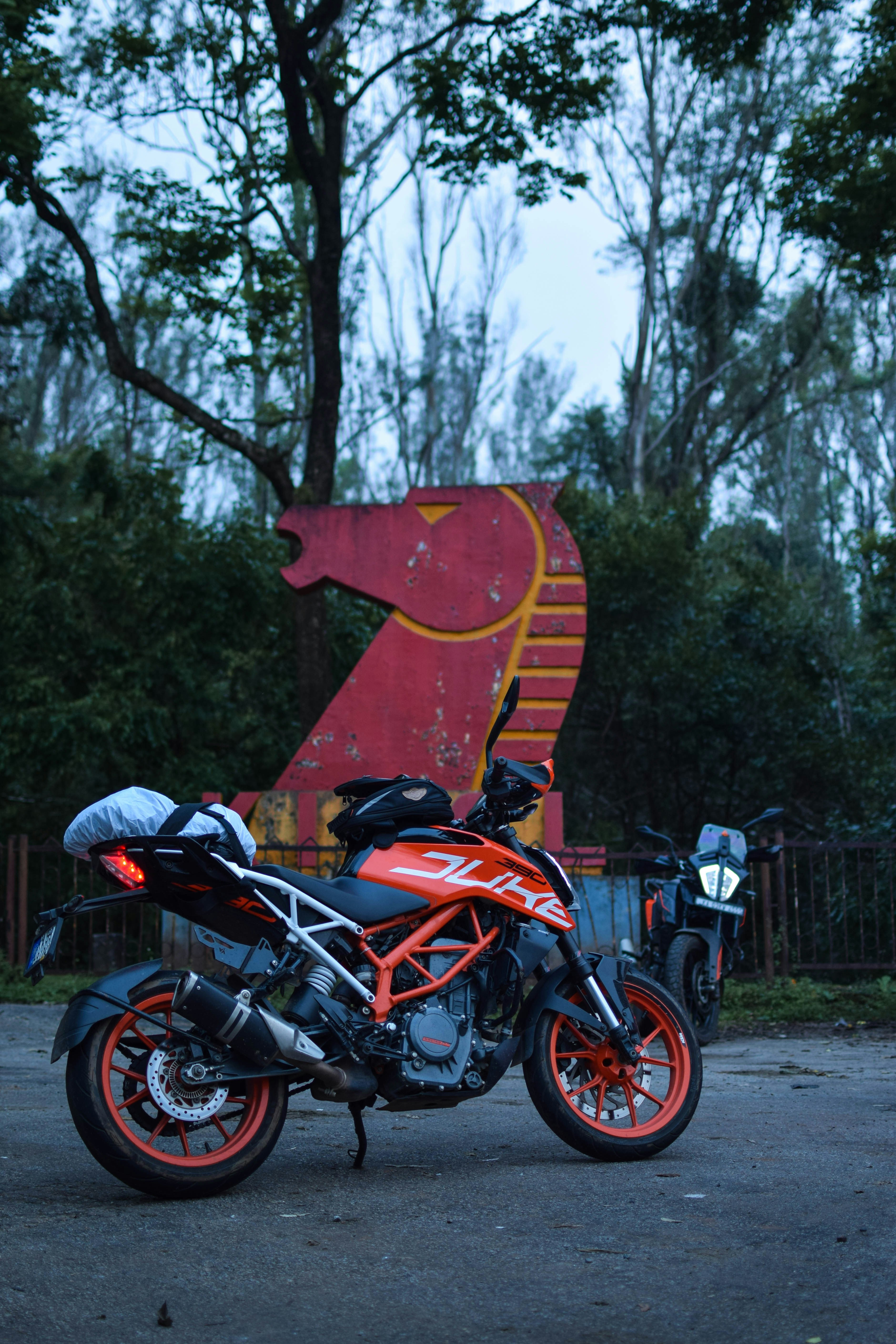 Dusk-Drift: Orange Duke Resting Before a Weathered Horse Monument