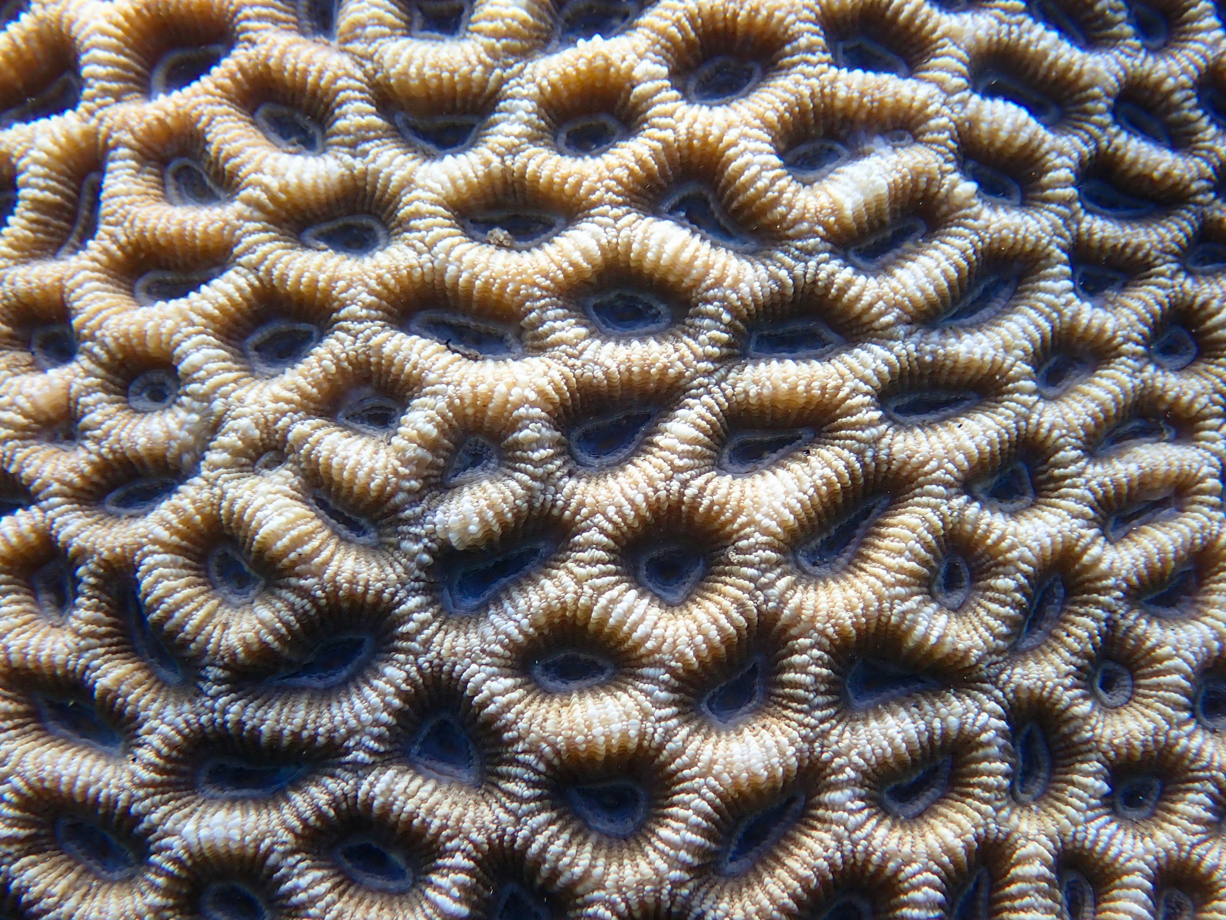 Sample photo from Olympus Tough TG-7