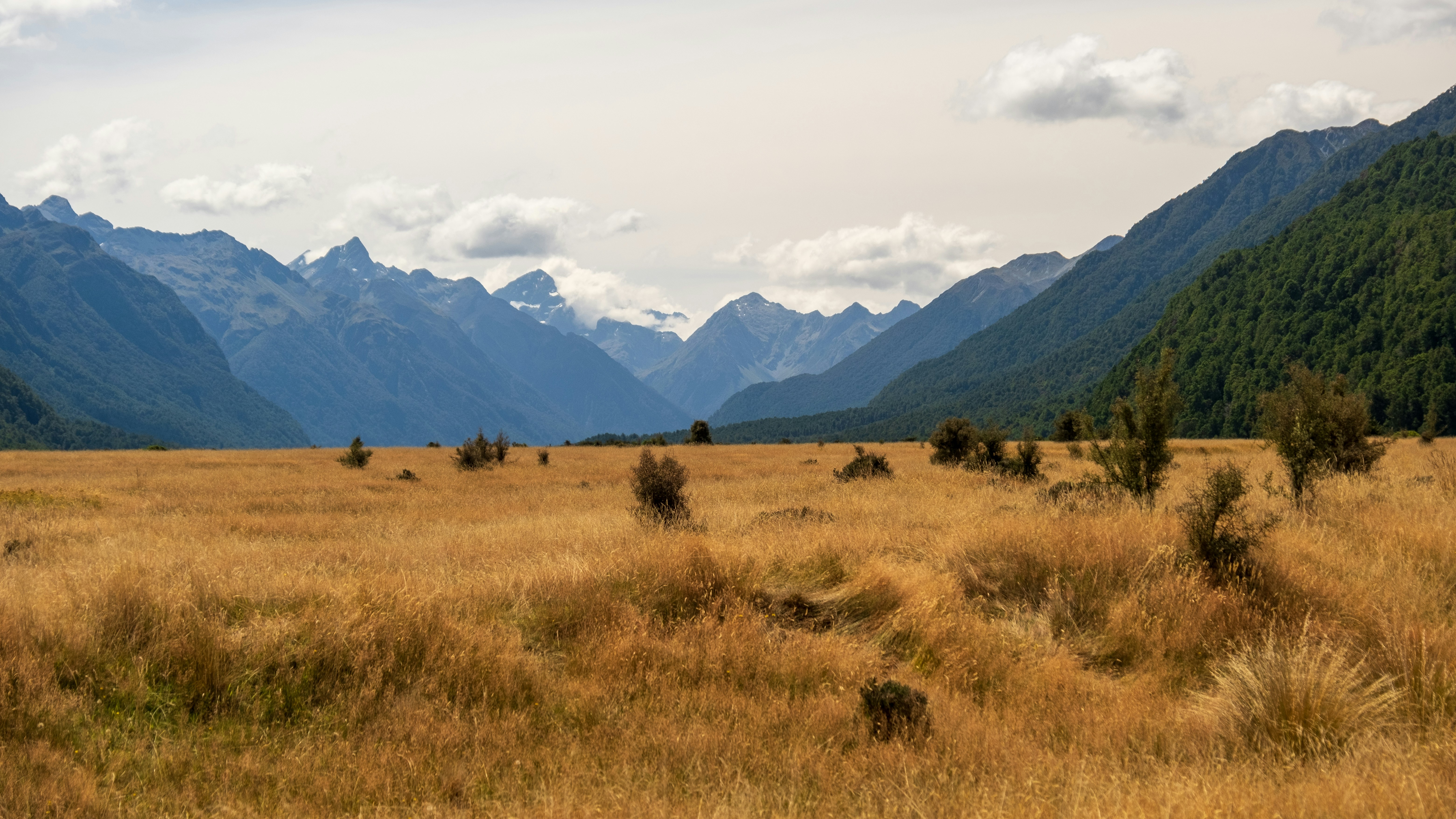 Expansive golden meadow leading to rugged mountain peaks under a cloud-dotted sky.