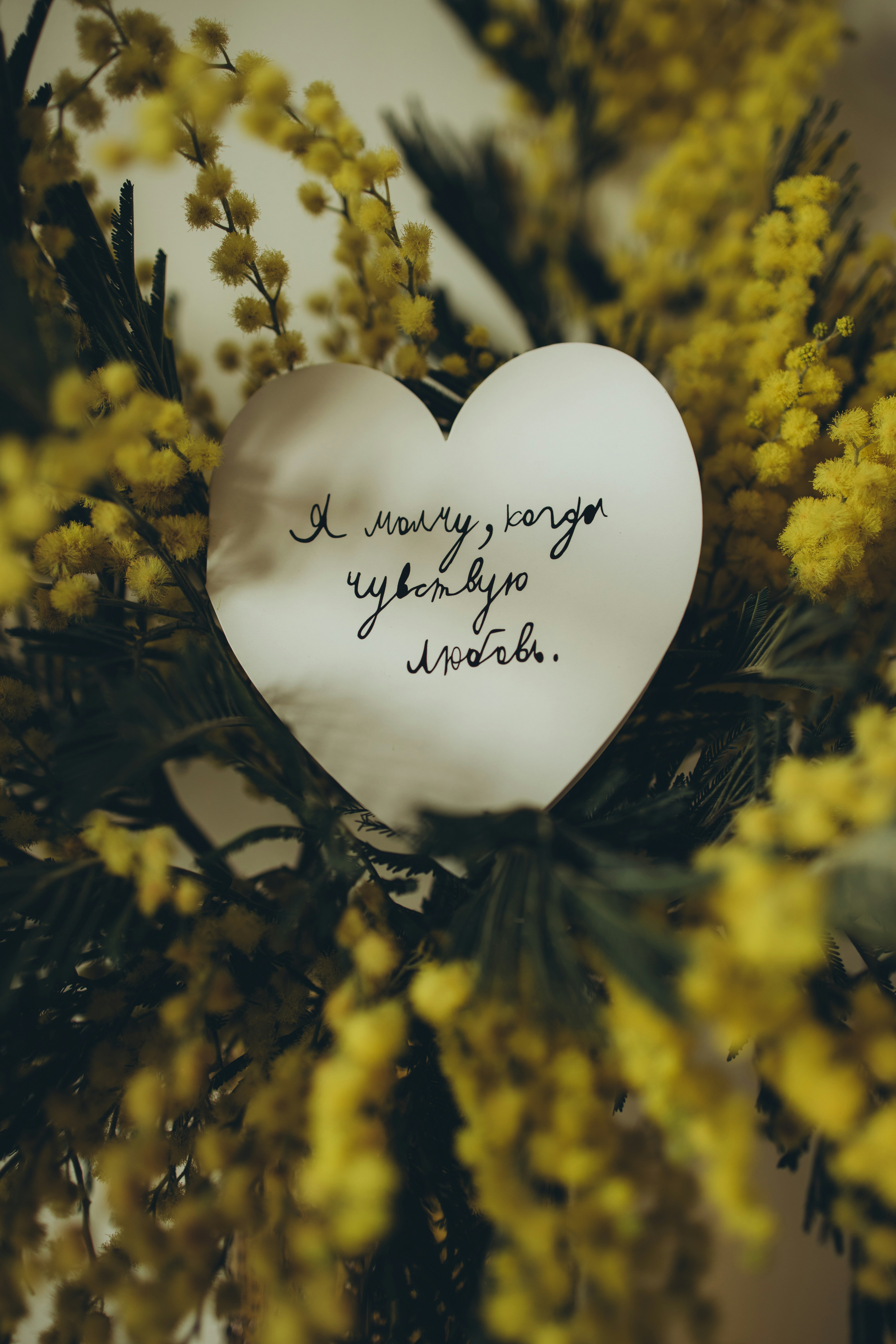 Whispers of Affection: A Heartfelt Message Amidst Blooms
