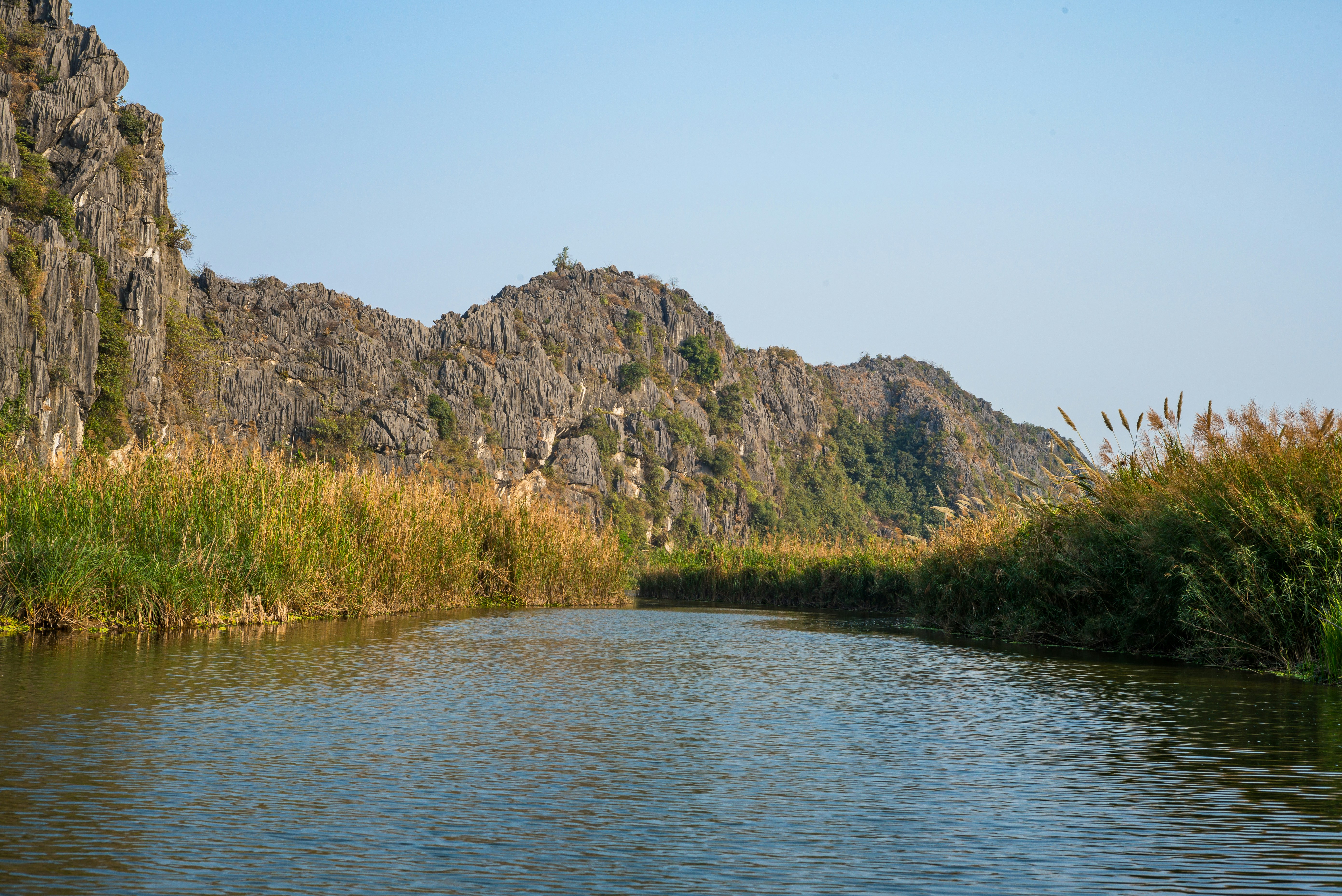 Tranquil waterway flanked by towering limestone cliffs and lush reeds under a clear blue sky.