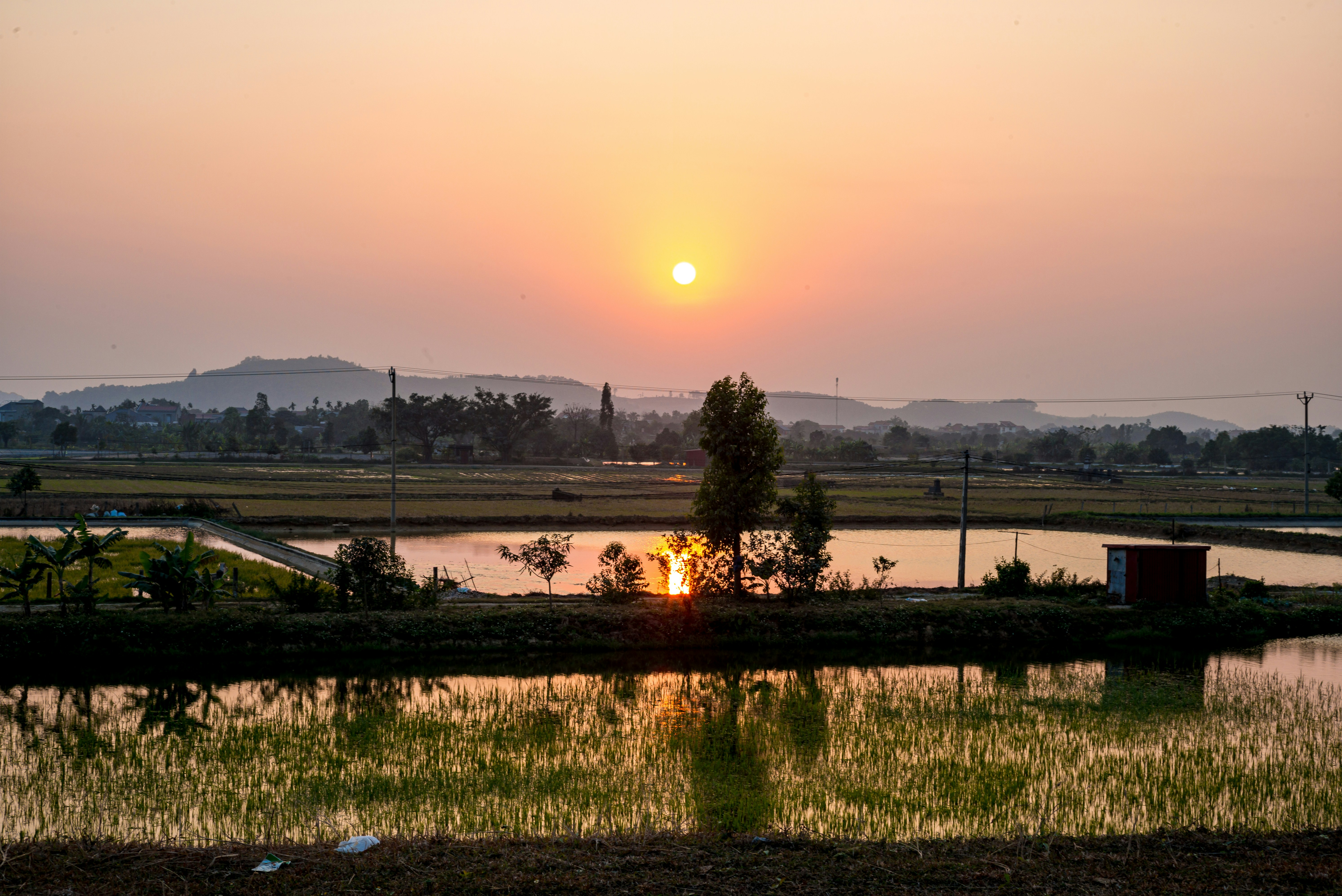 Golden Horizon Over Tranquil Fields