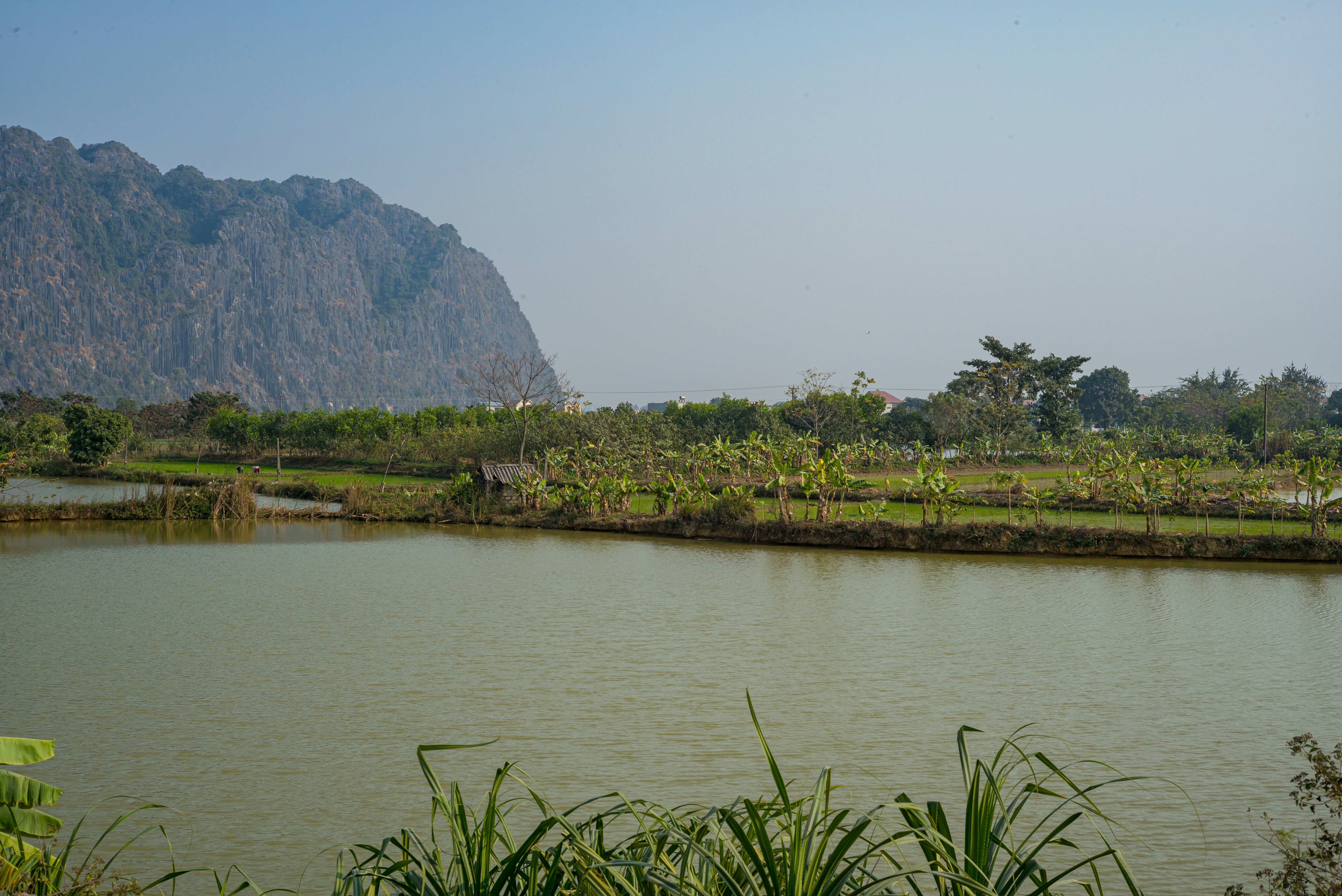 Tranquil pond surrounded by lush greenery with a towering mountain in the background under a clear sky.
